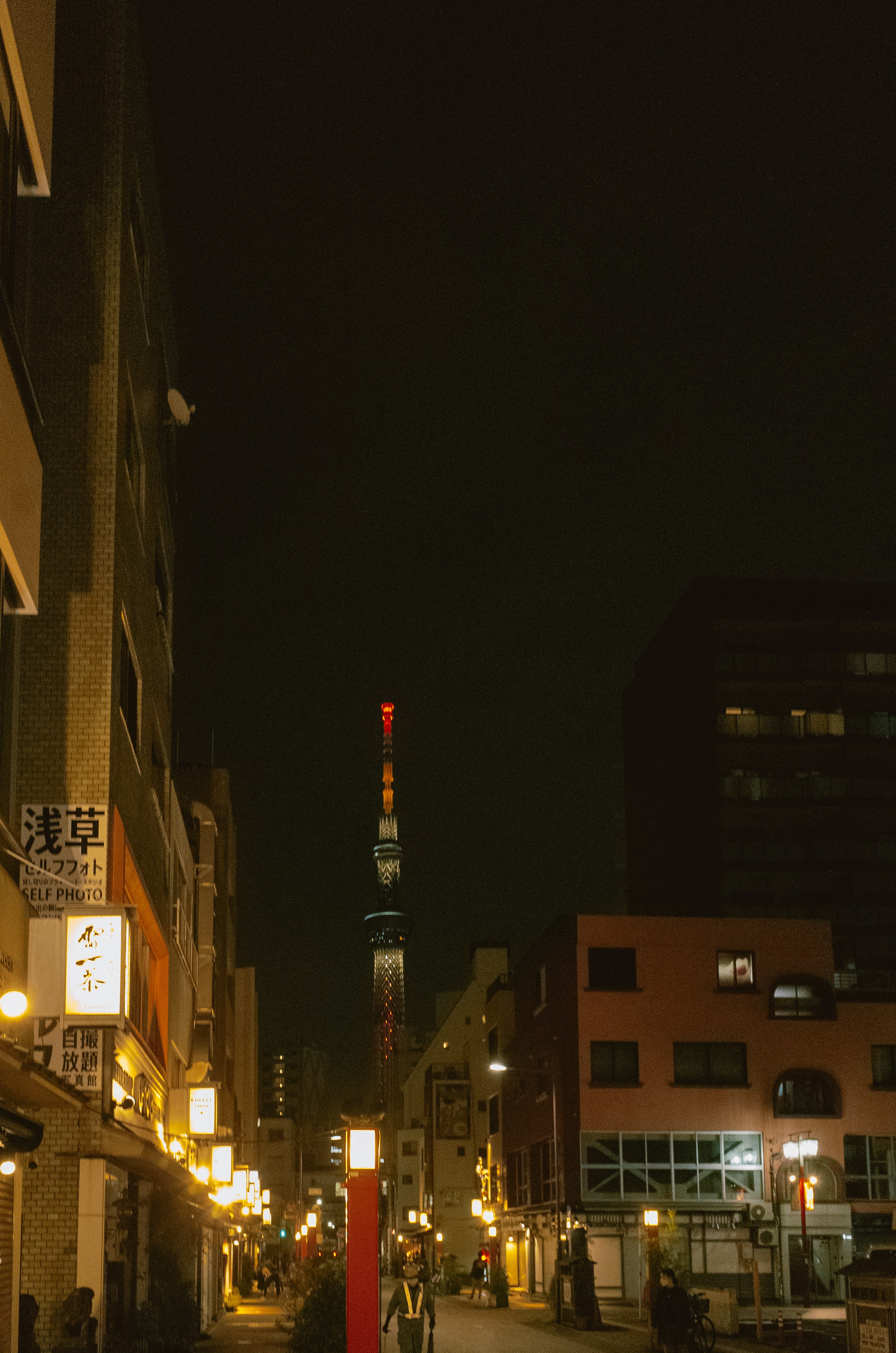 Tokyo Nightfall: The Tokyo Skytree Illuminated Above a Quiet Street