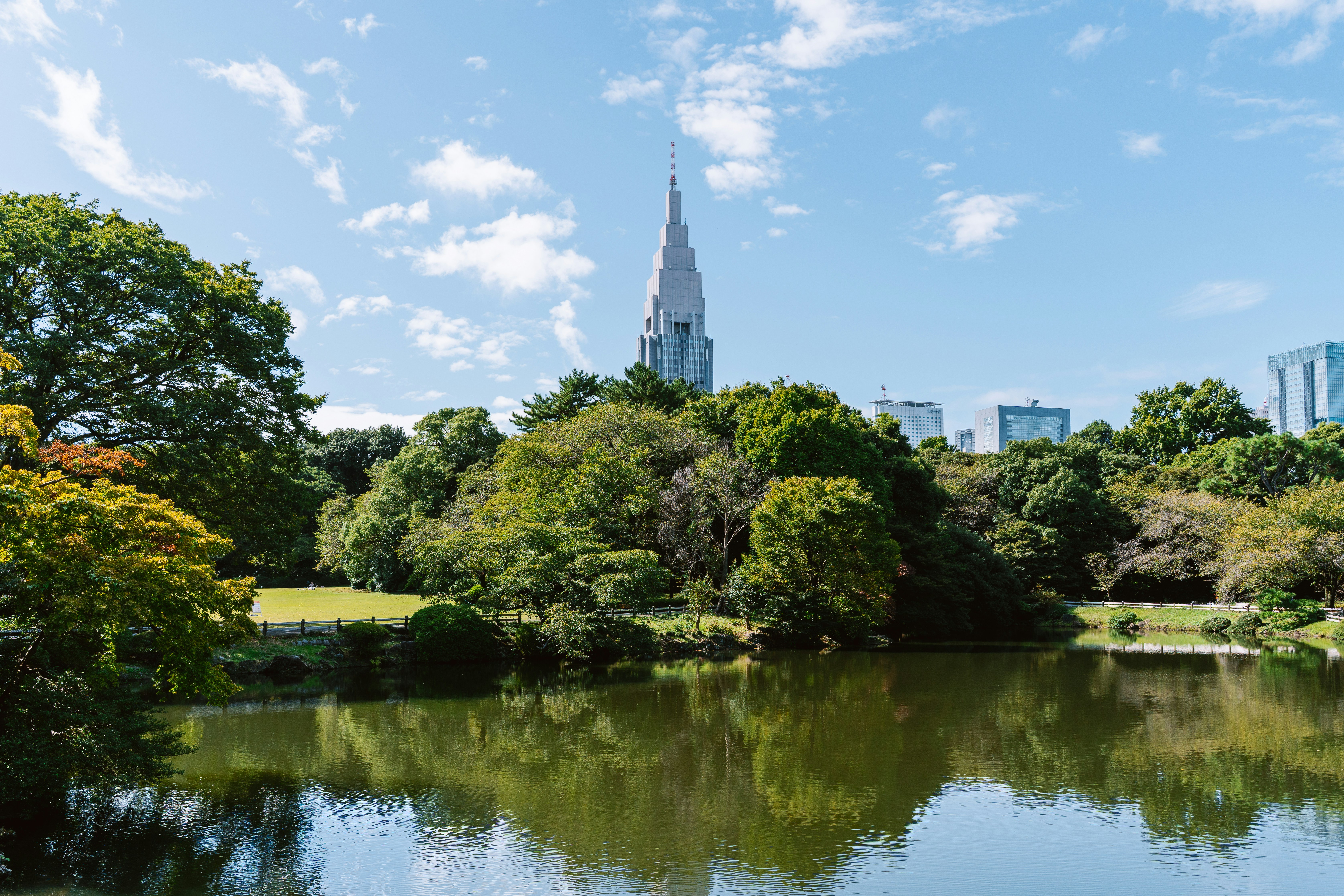 Skylight Over the Lake: City Park and Tower