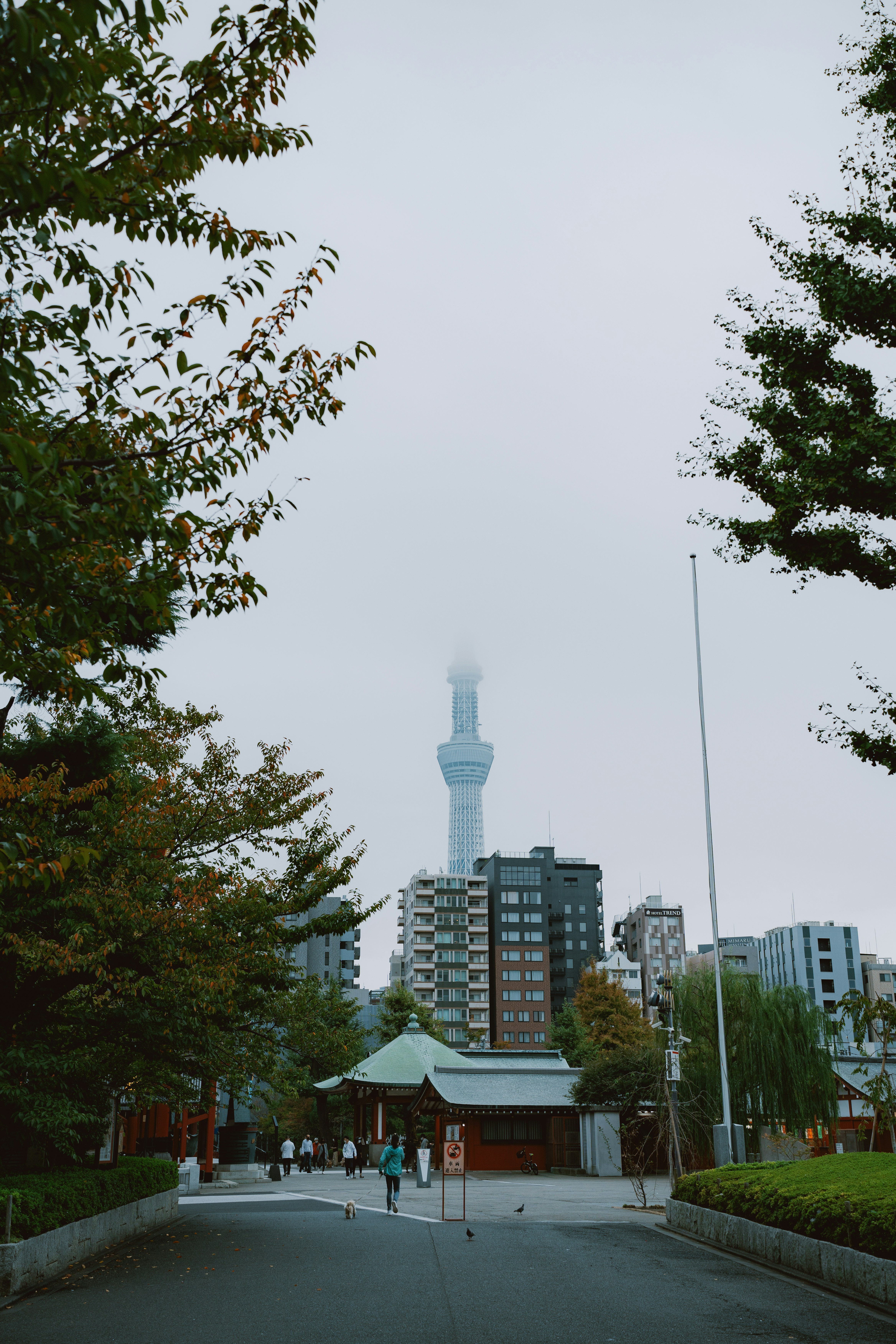 Urban Core: A Fog-Softened Skyline Framed by Traditional Gates