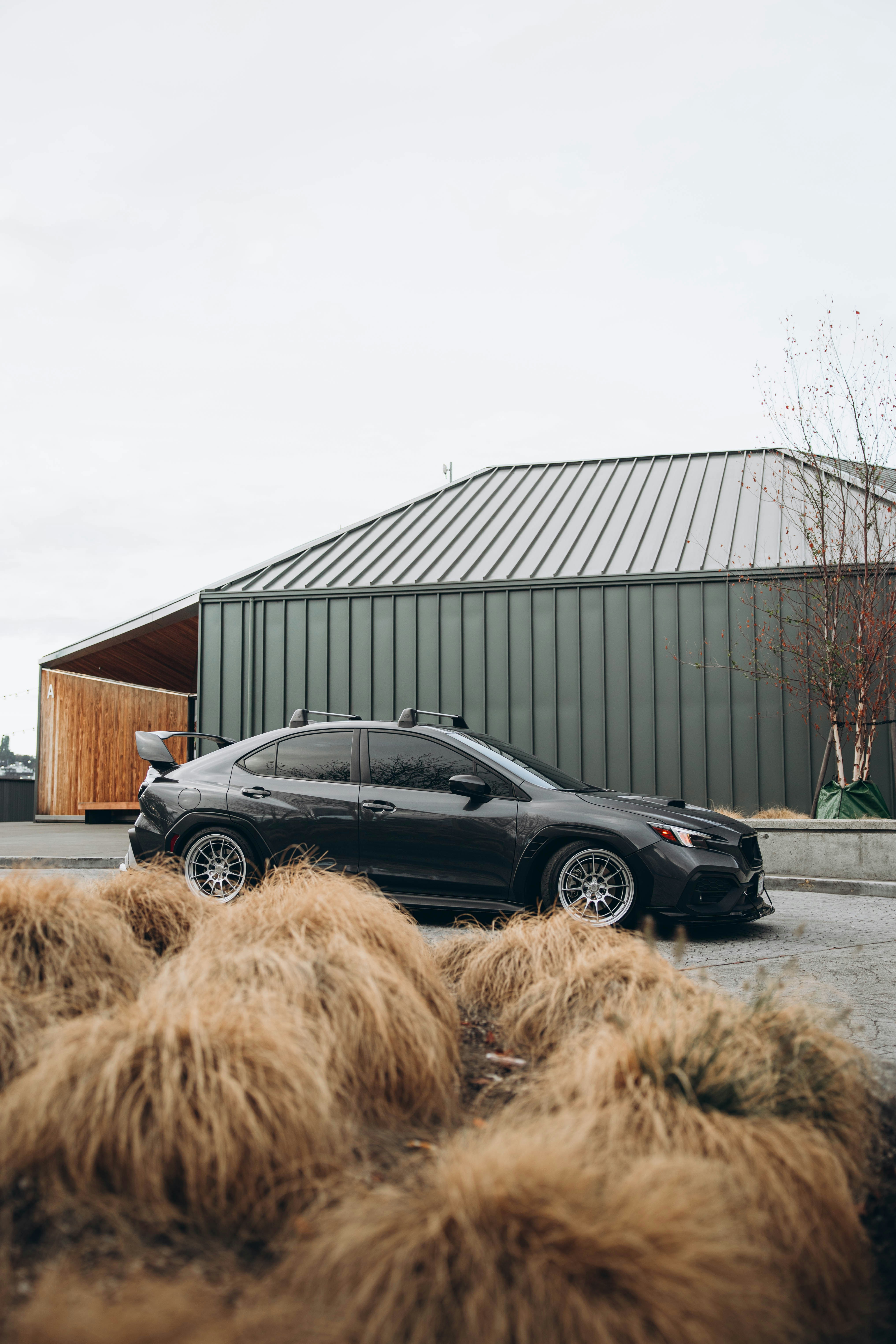 Midday Modern: A Sleek Car Anchored by Desert Grasses