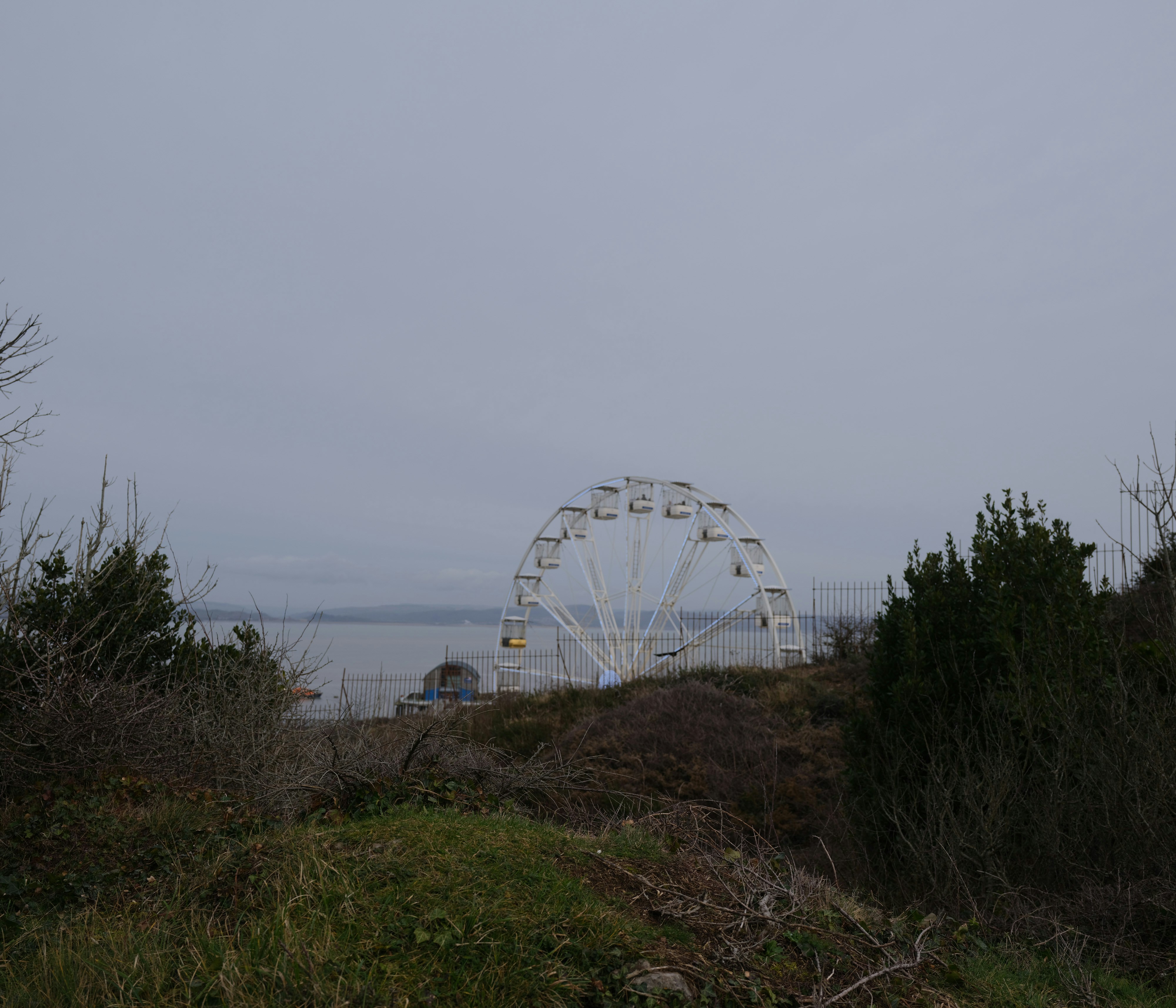 Ferris Wheel on the Ridge: Quiet Coastline, Hidden in the Brush