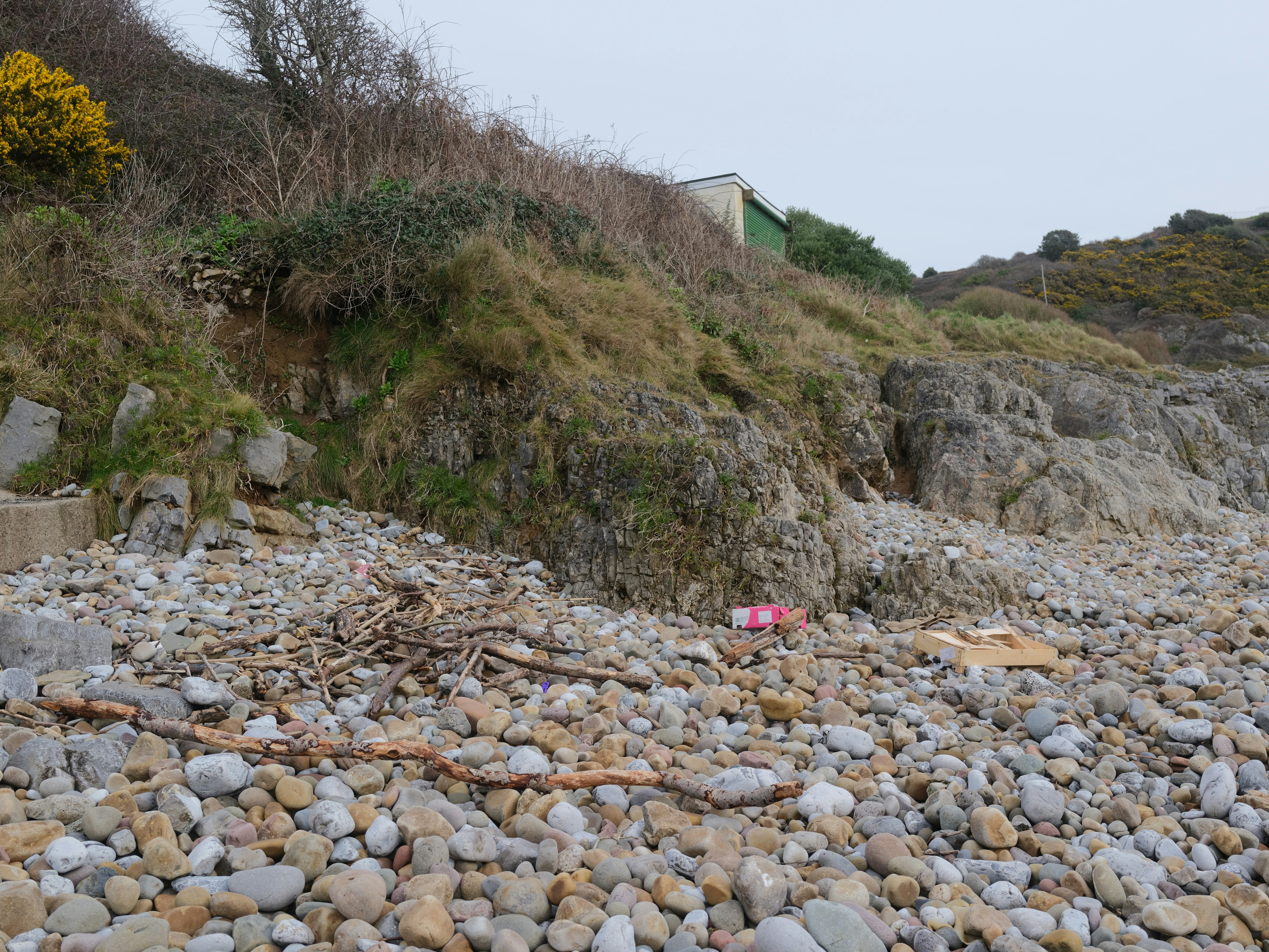 Pebble Beach Find: A Quiet Shoreline Scene with Driftwood and Rugged Terrain