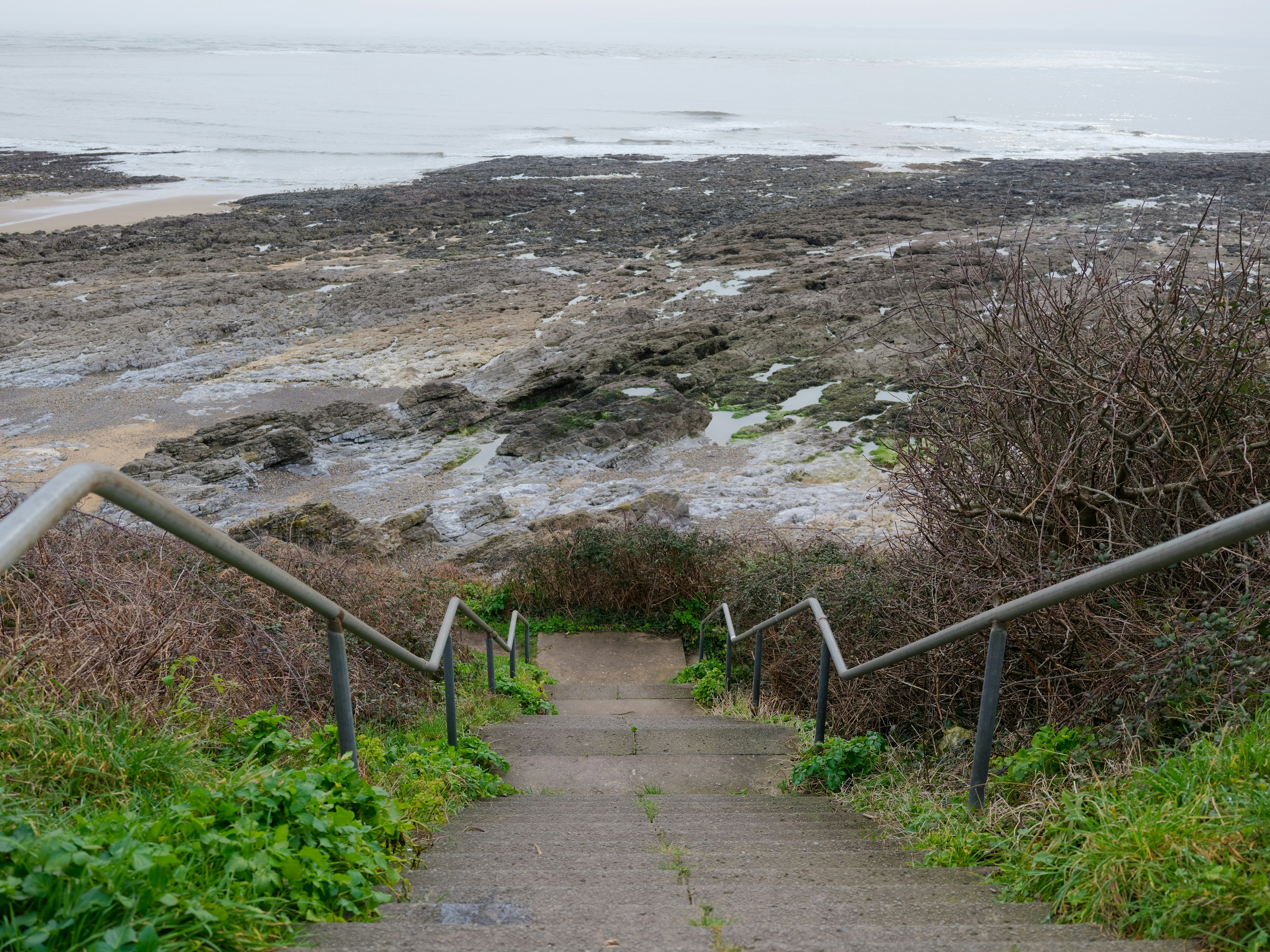 Climb to the Quiet Shore: A Weathered Staircase to the Tide