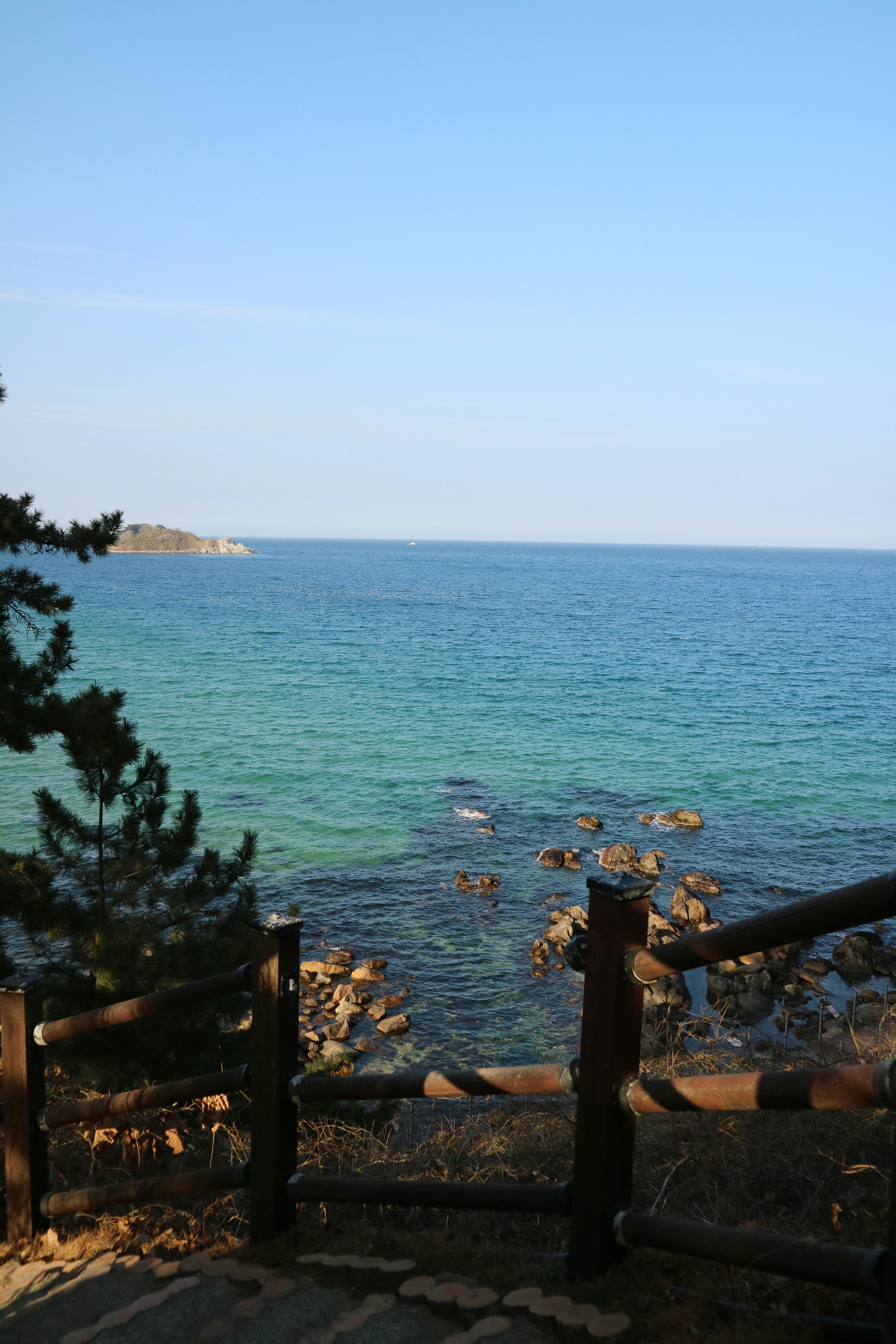 Coastal Vista from the Cliffside Walk