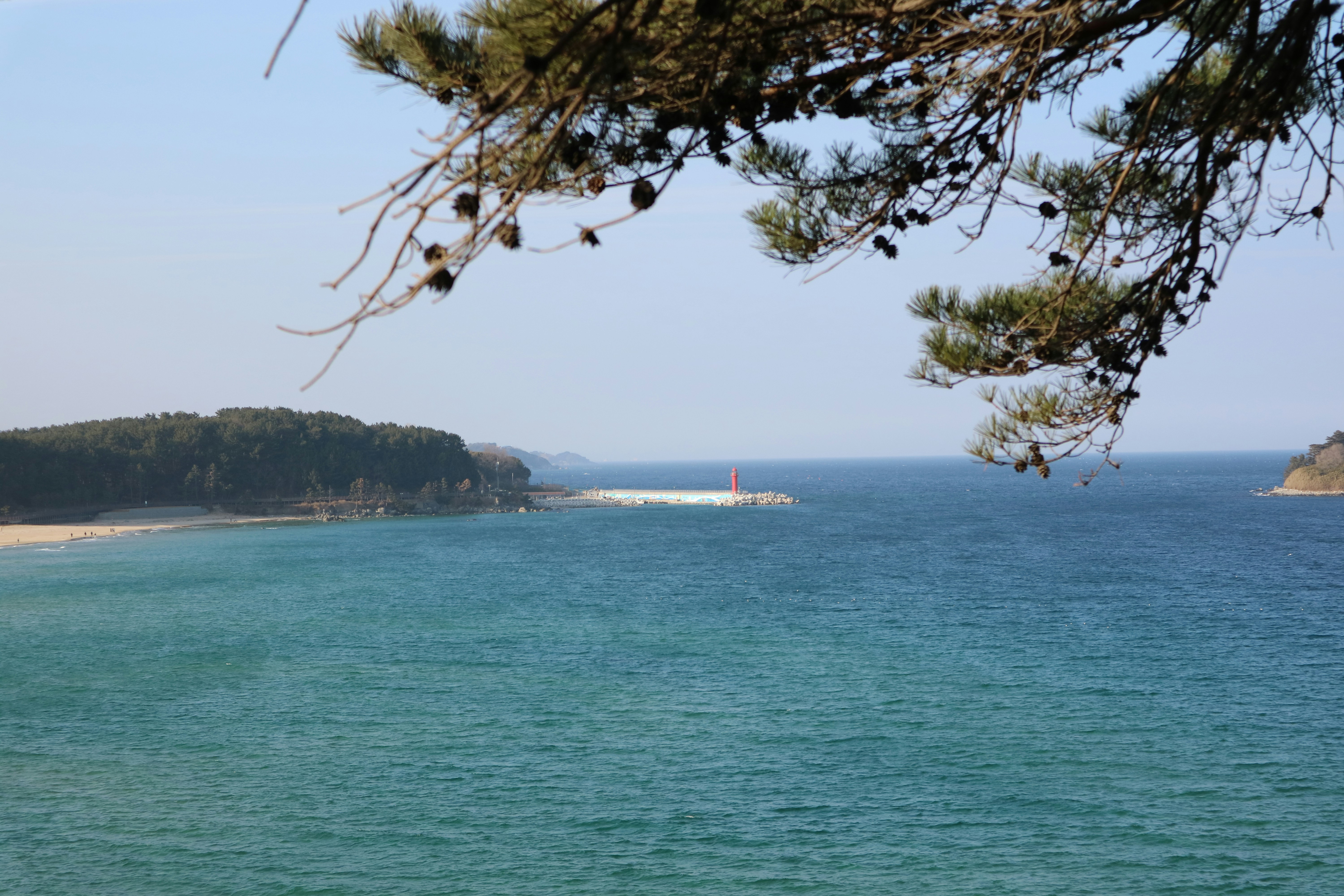 Coastal Break: A Quiet Sea Scene Framed by Overhanging Branches