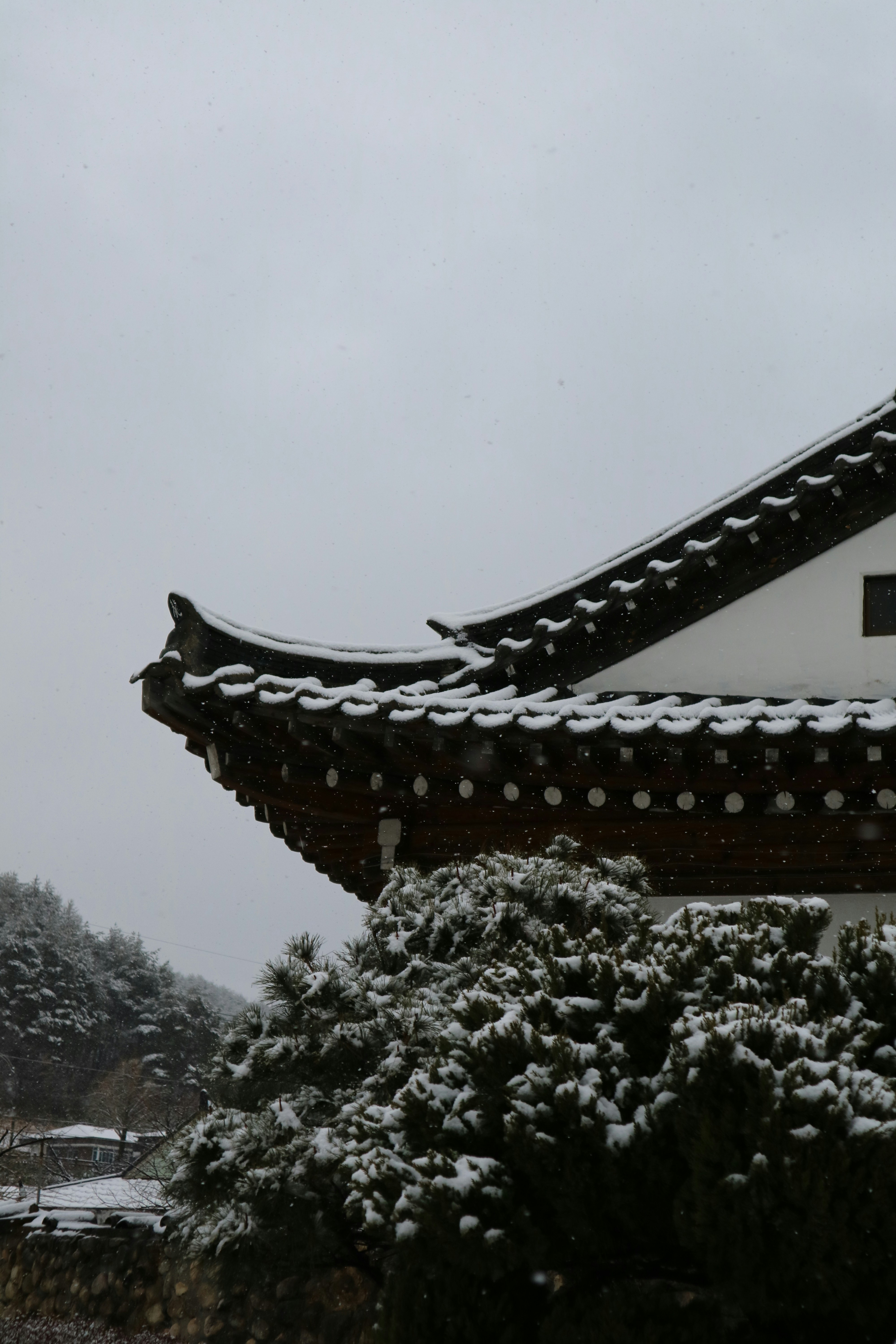 Snow-Kissed Curves of a Traditional Roof