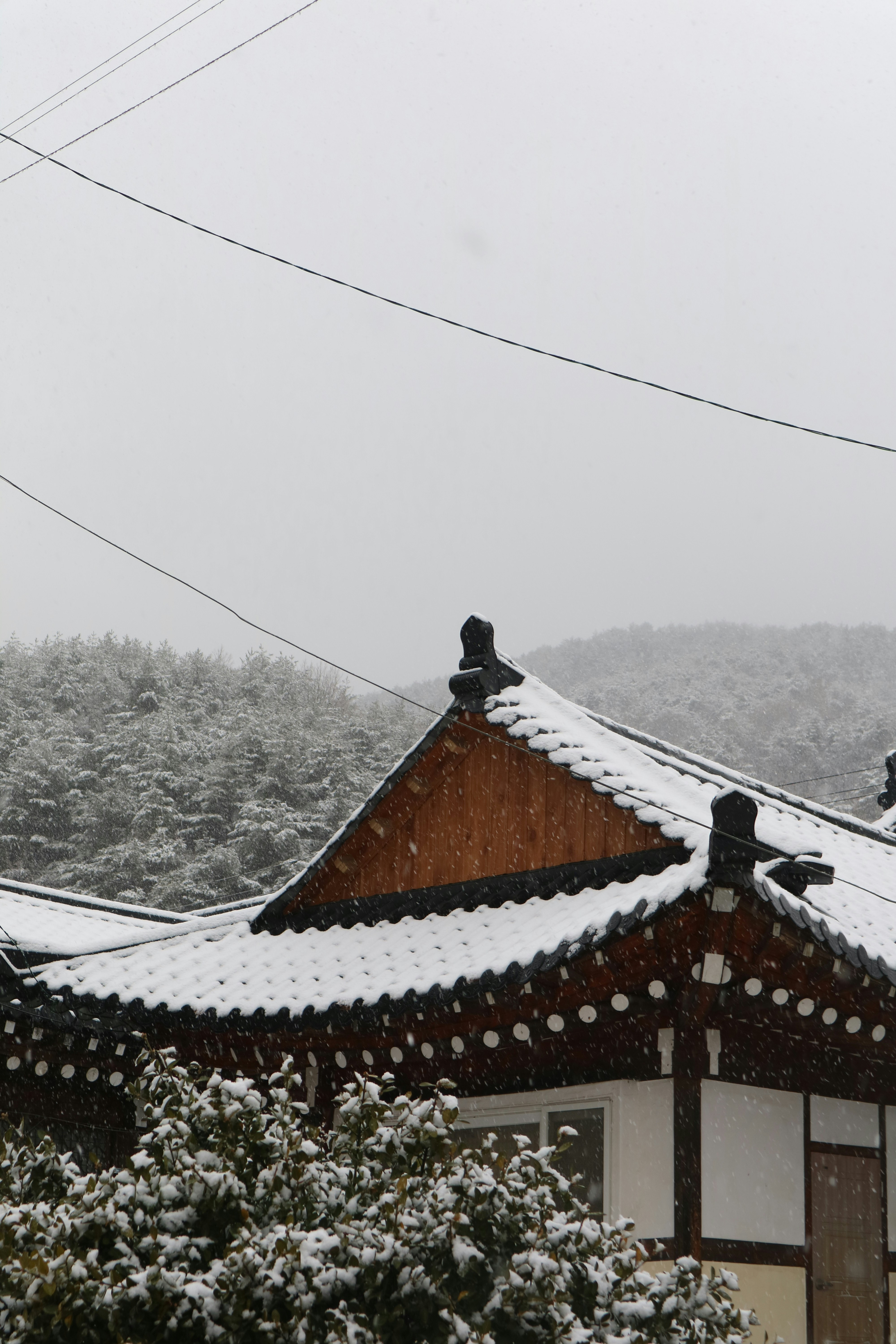 Snowbound Rooflines: Quiet Korean House Under Winter Skies