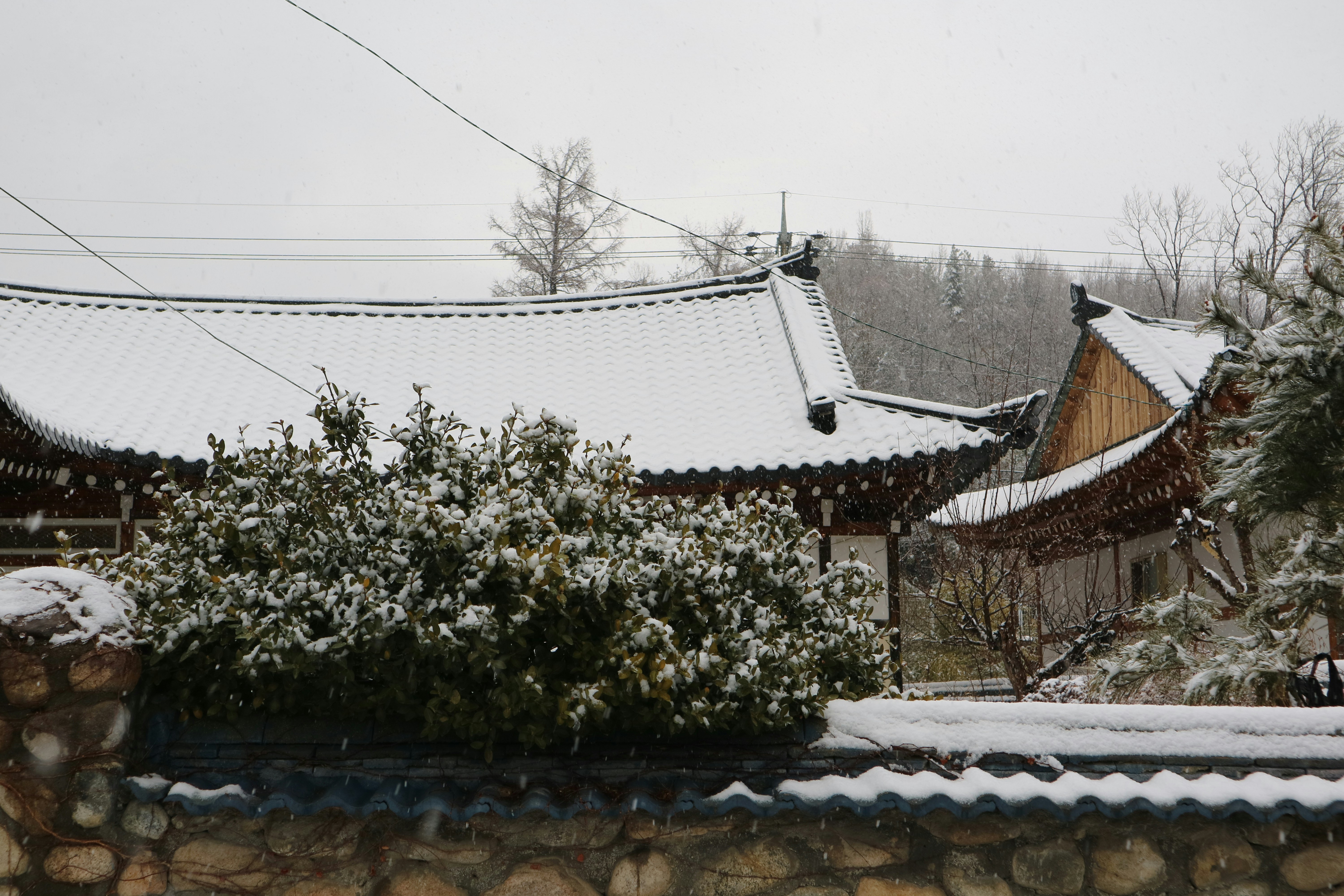 Snow-Laced Courtyard with Traditional Rooflines