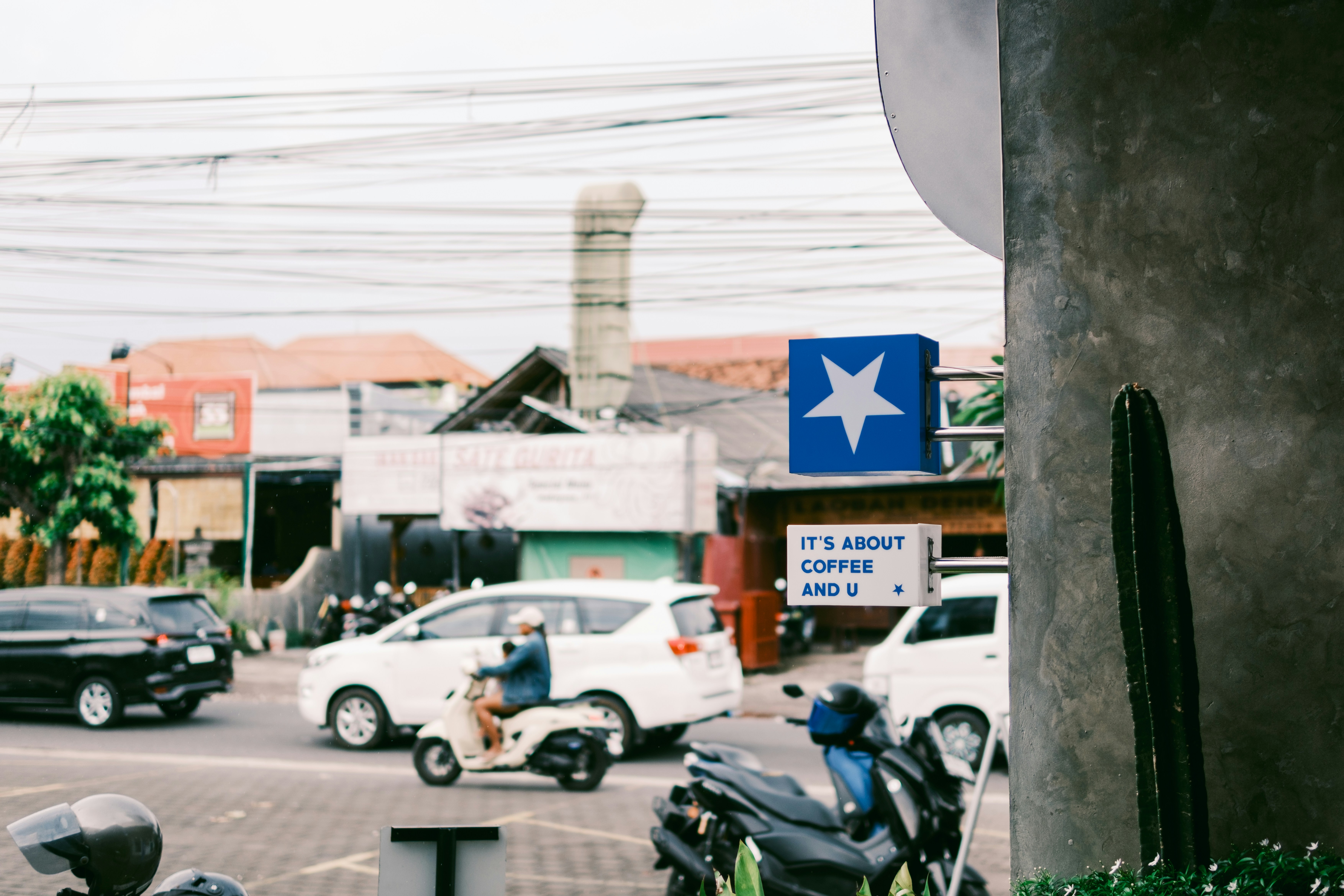 Morning Street: A Quiet Curbside Moment with Street Signs
