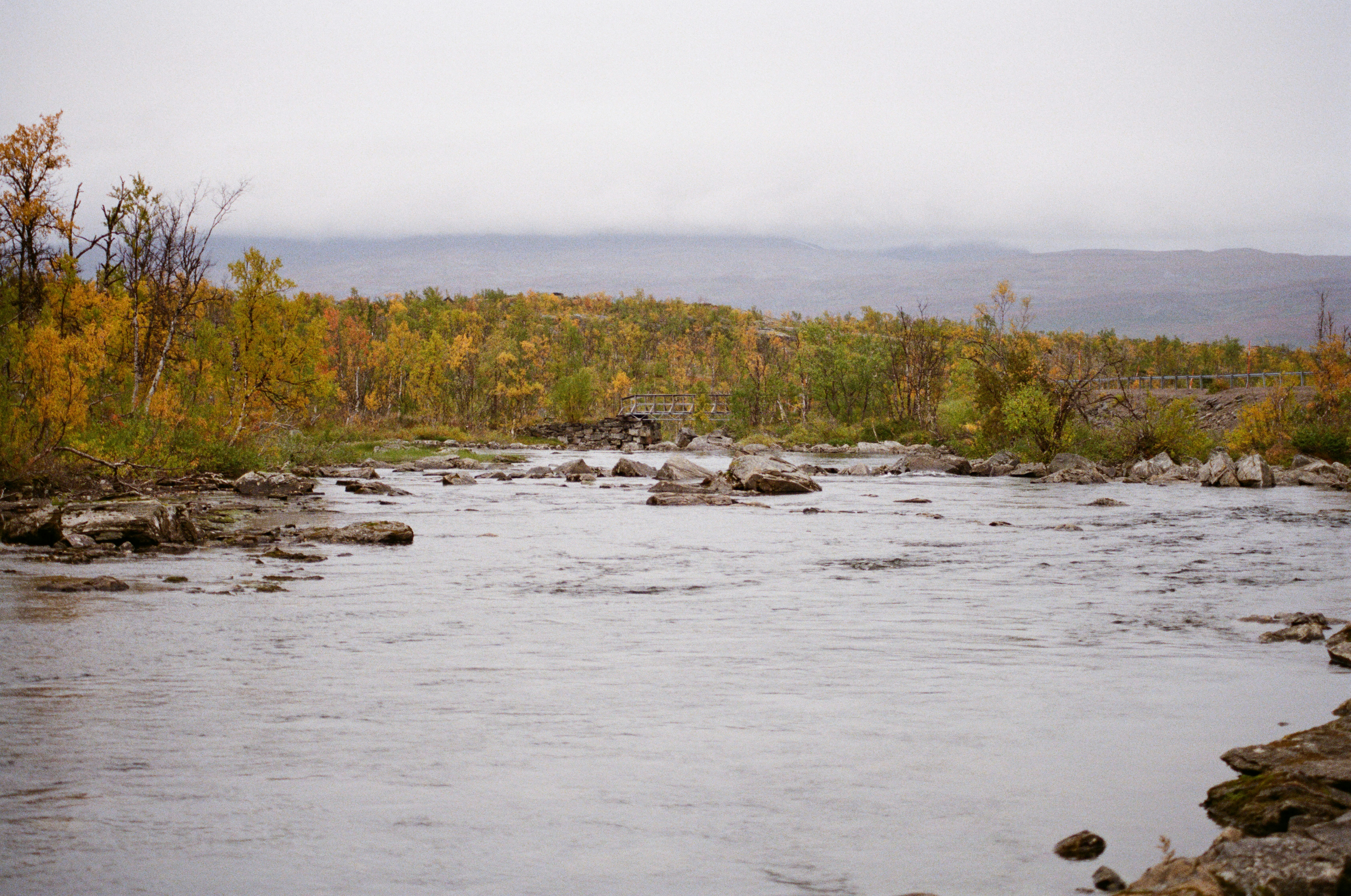Autumn River Gorge: Riverscape with Rocky Shallows and Foliage