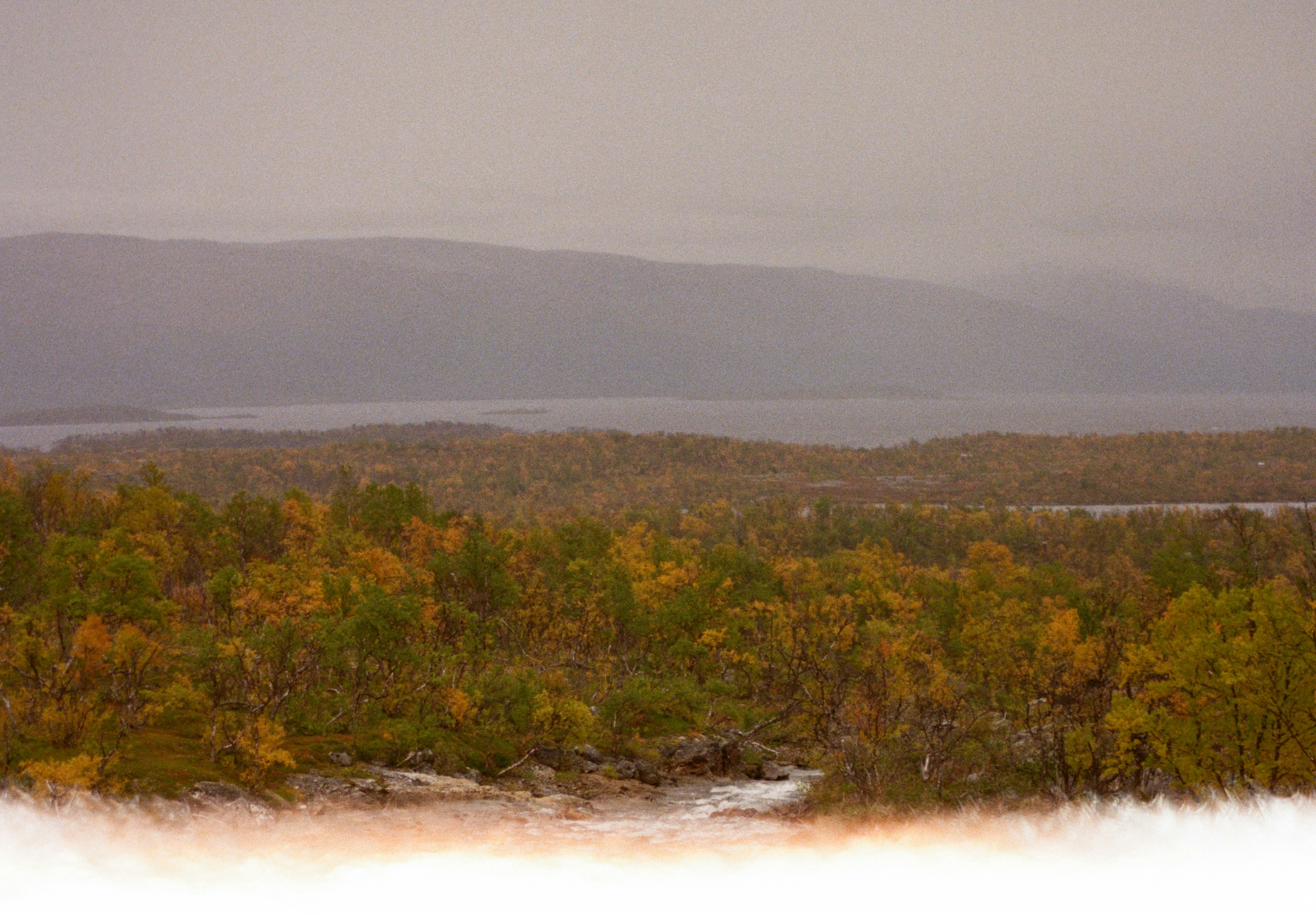 Autumn Coastal Ridge Beyond a Misty Shore