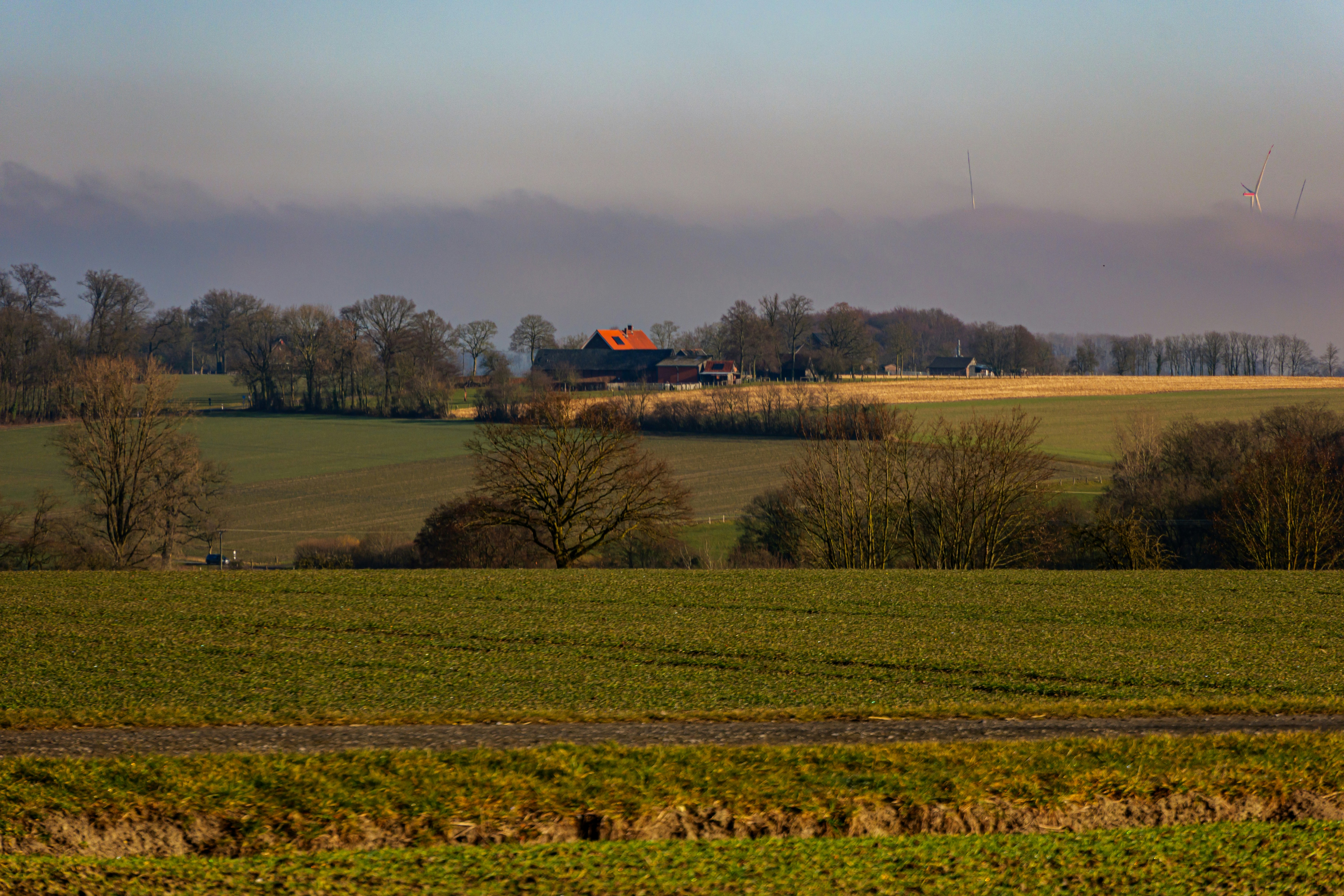 Low Sunlight Overrolling Fields: Farmhouse on the Horizon