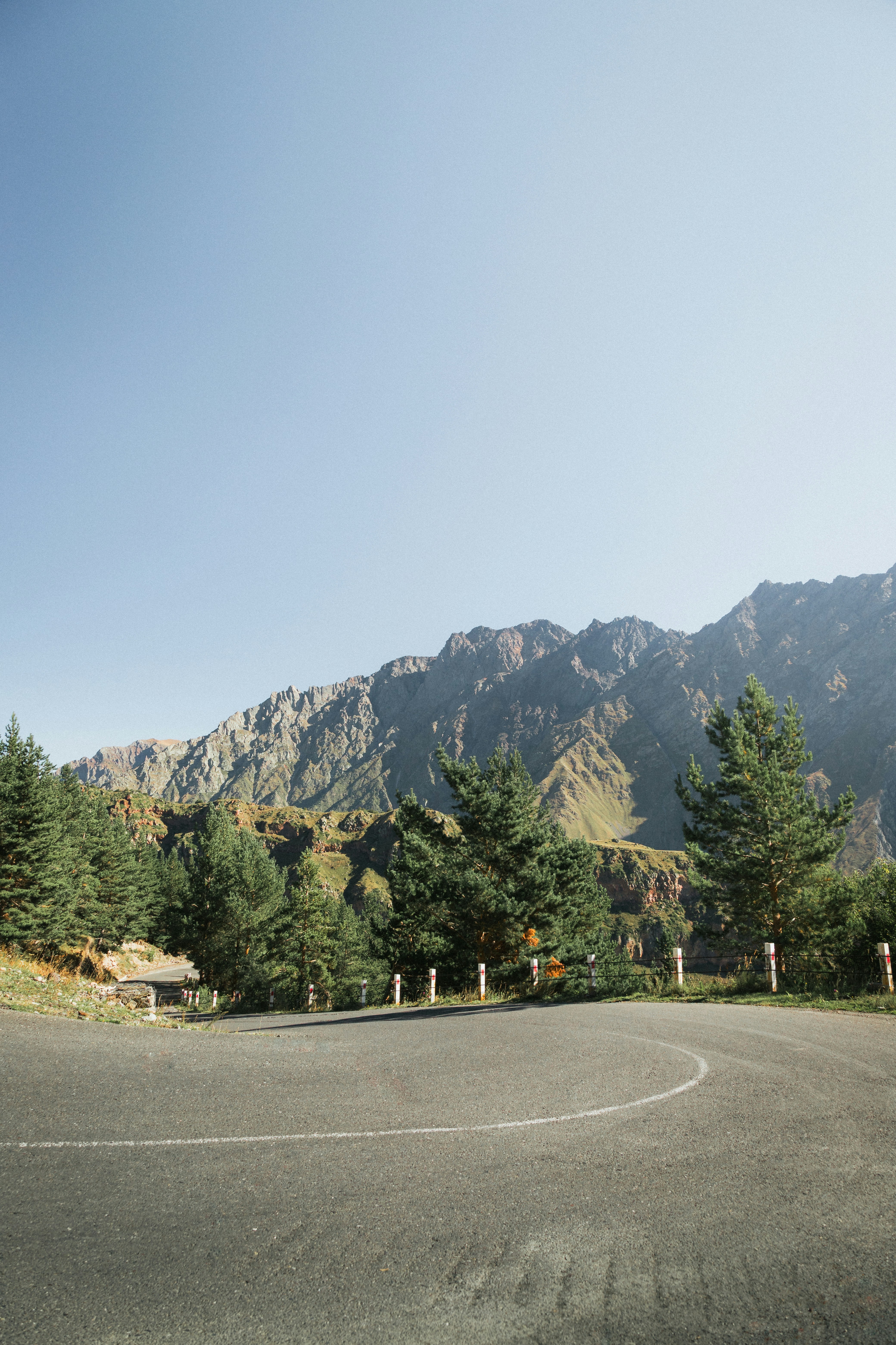 Curving Mountain Road Beneath Amber Pines