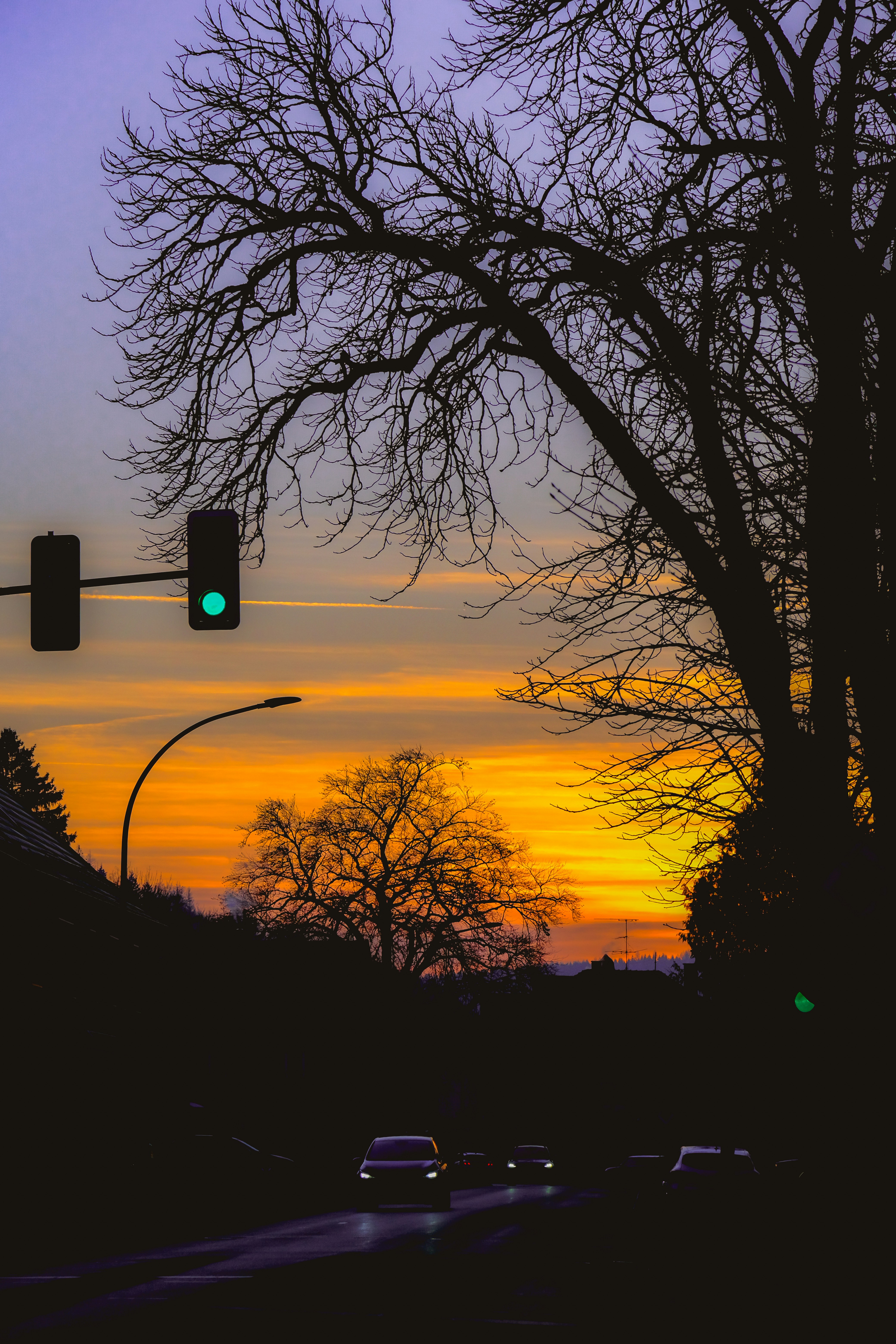 Silhouetted Tree Framed by Sunset at a Quiet Intersection