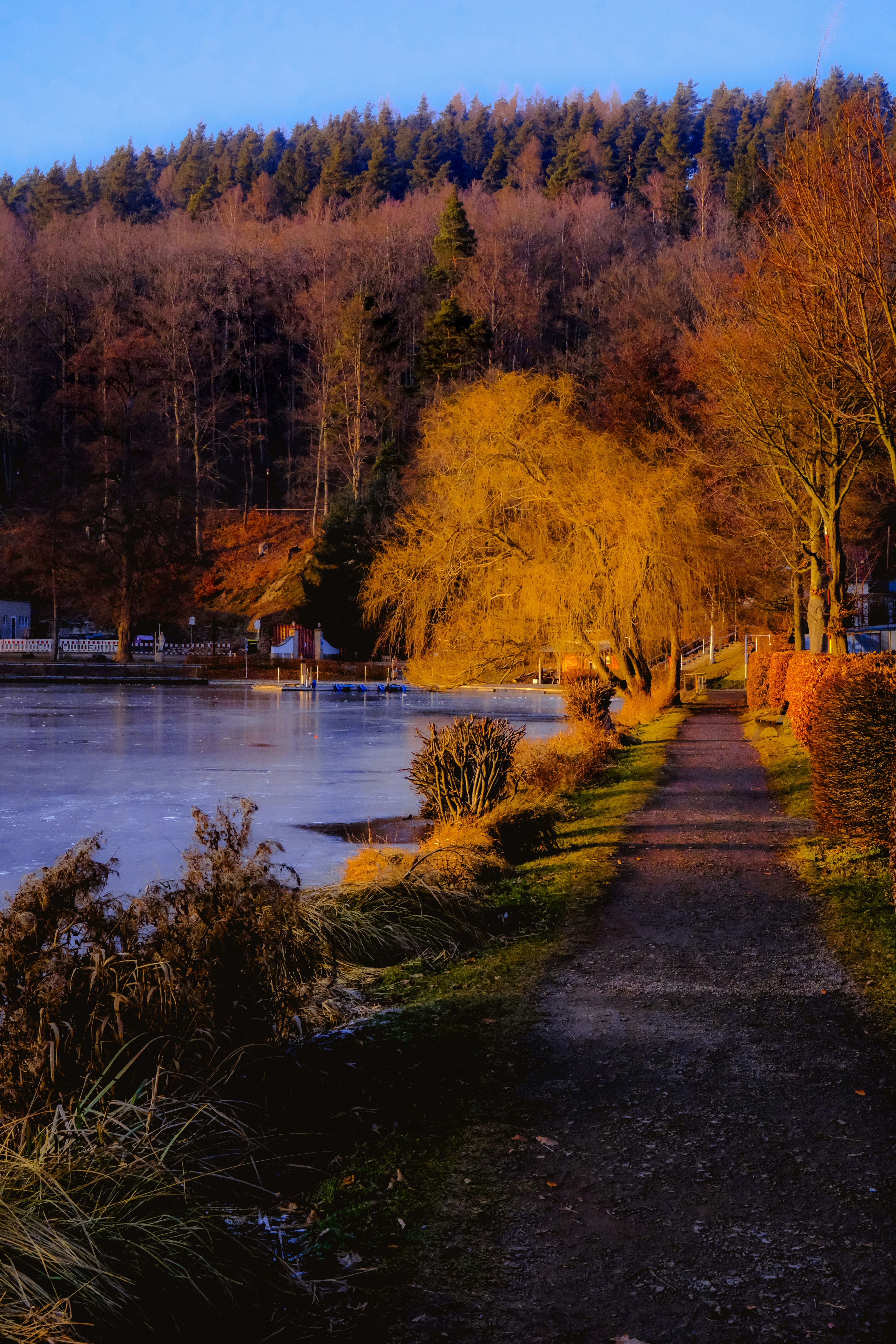 Golden Road by the Frozen Lake