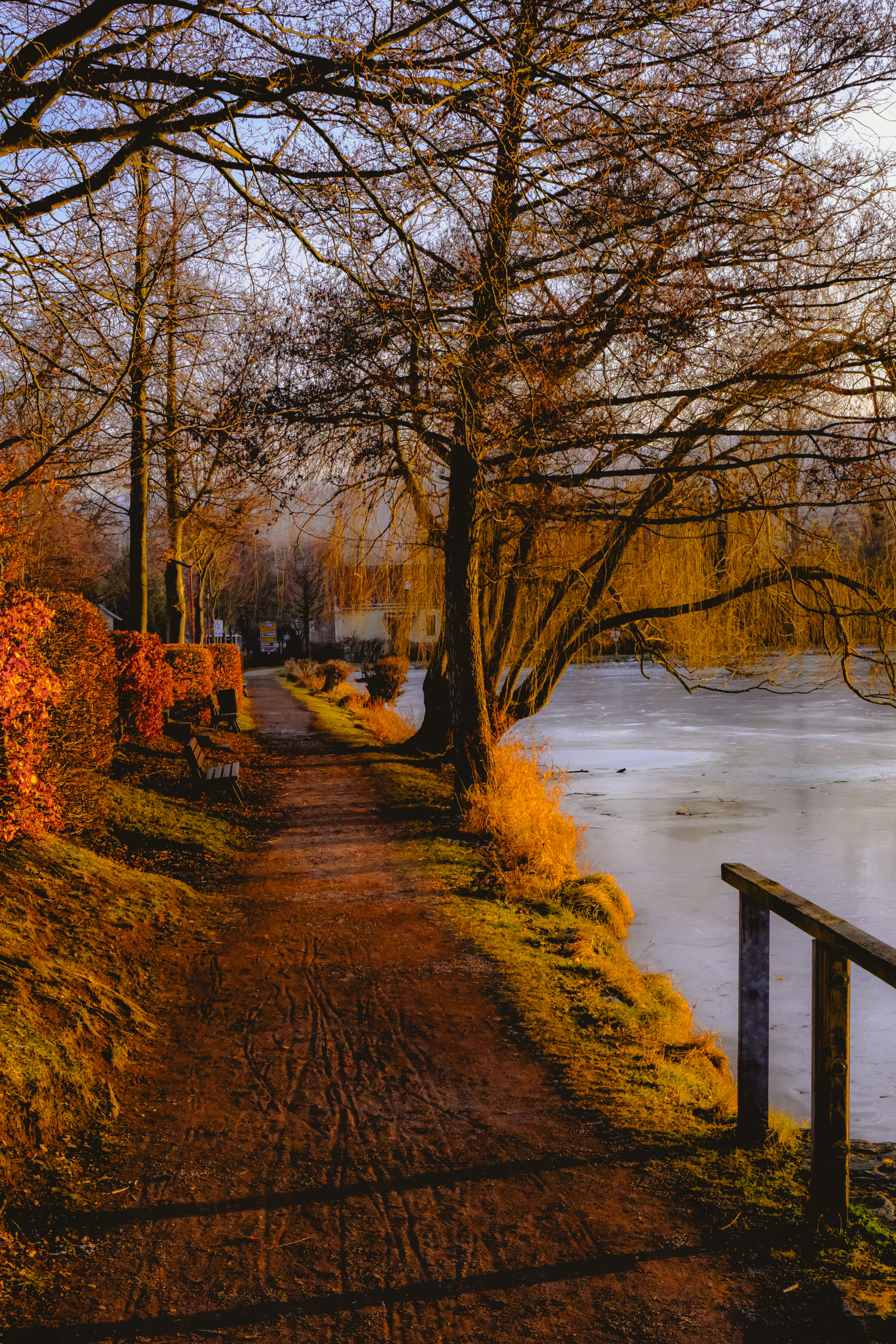 Autumn riverside trail bathed in warm sunset light