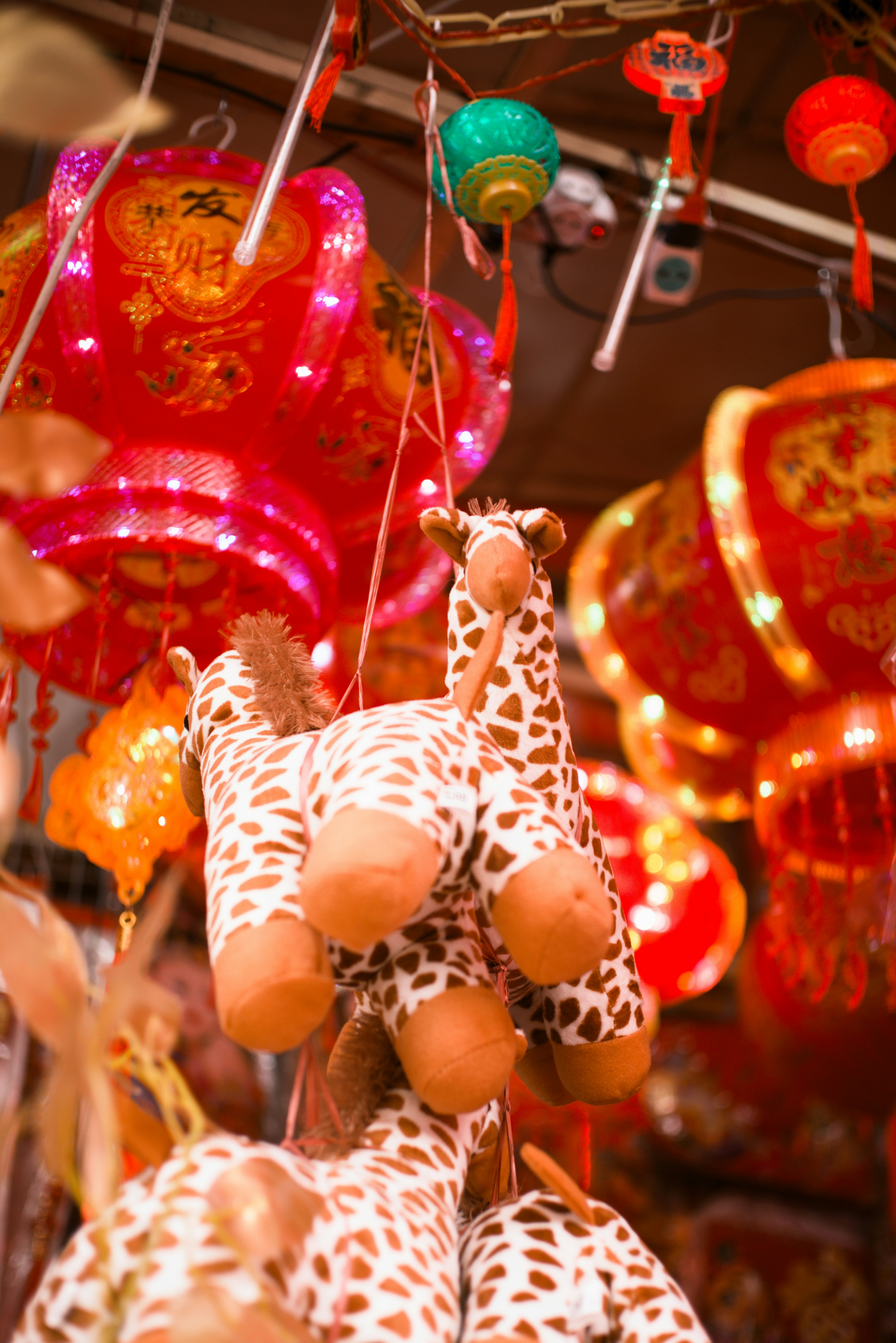 Giraffe Plush Amid Lantern Glow