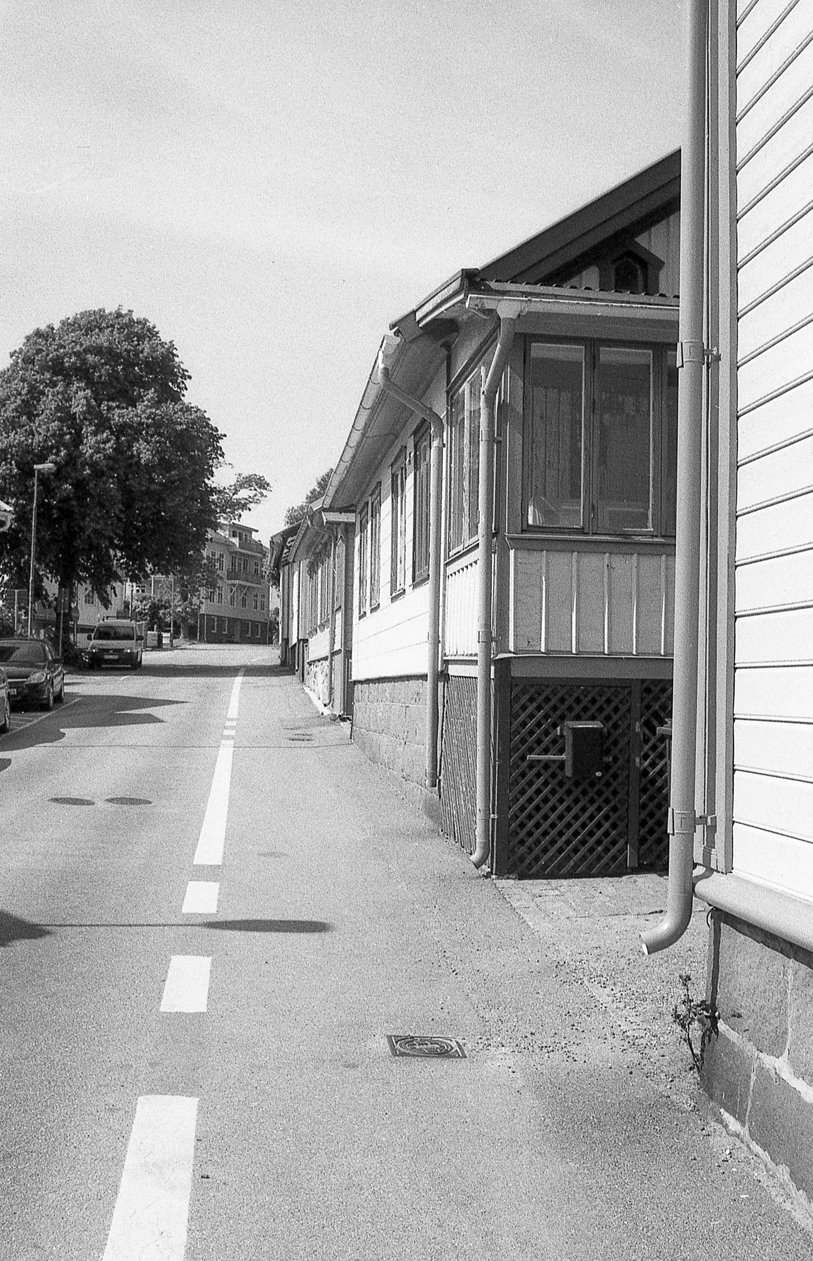 A quiet street with houses and a white line.
