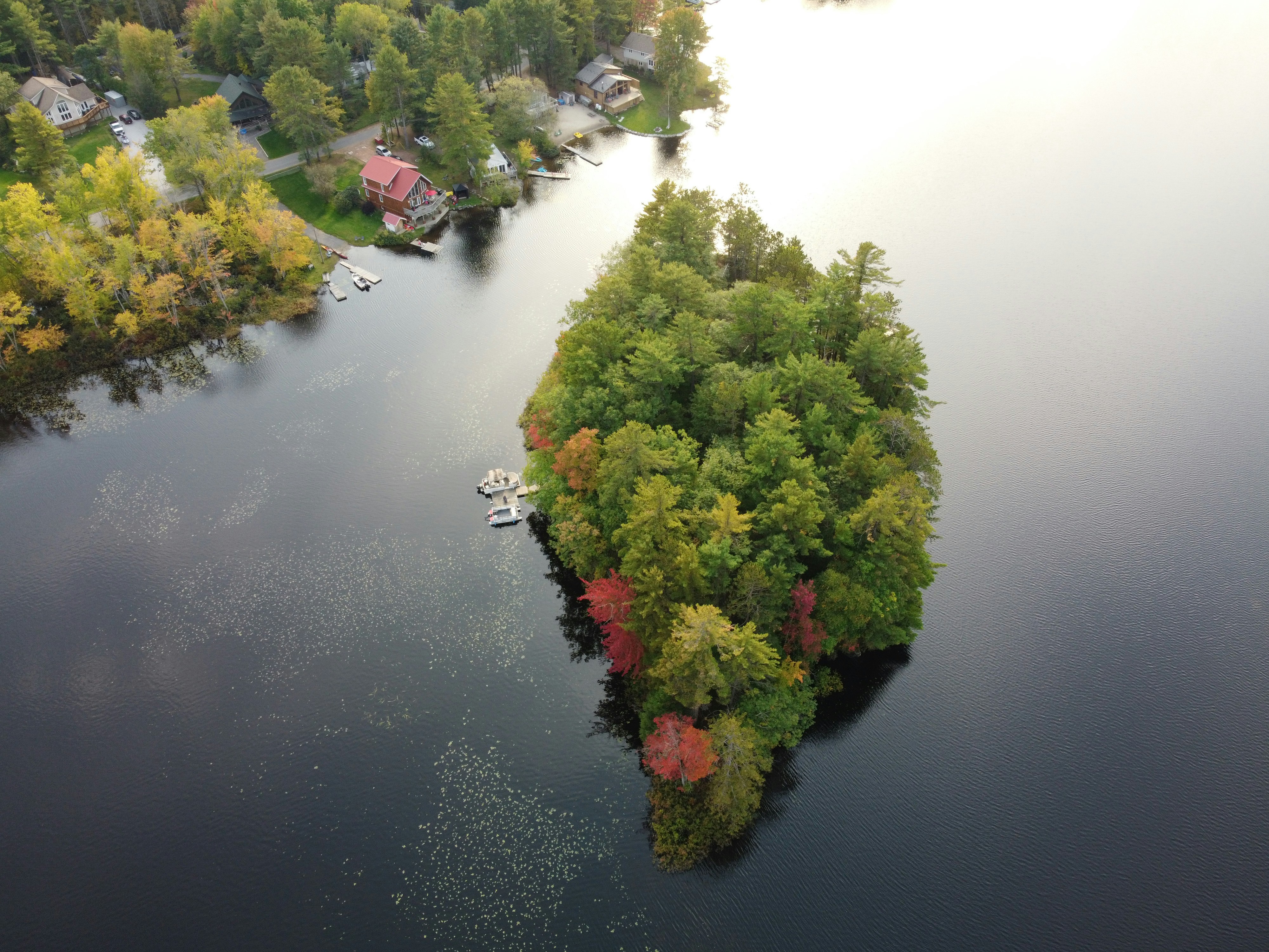 Autumn island sanctuary skimmed by a quiet lake