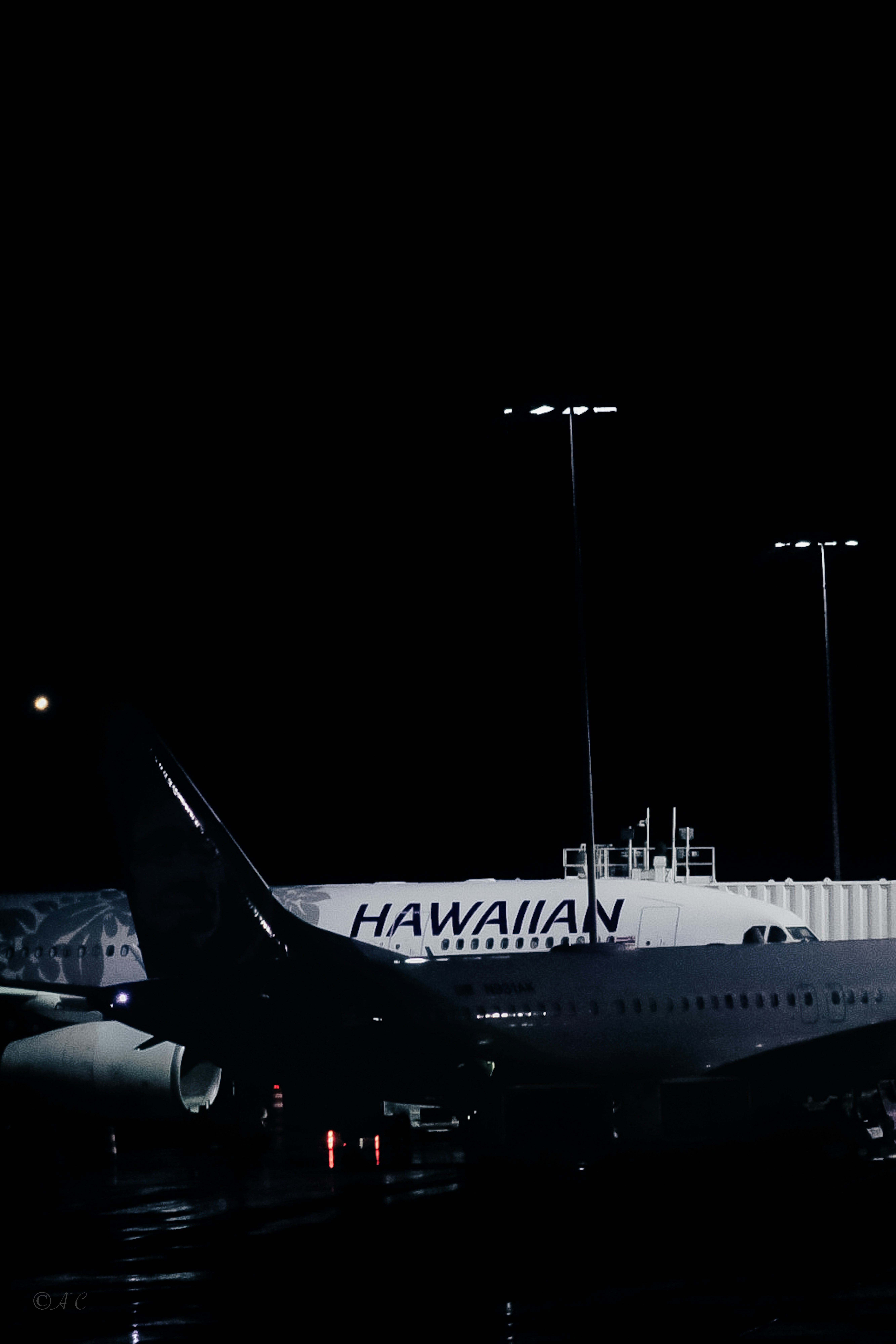 Night Gate: A Hawaii-bound silhouette under airport lights