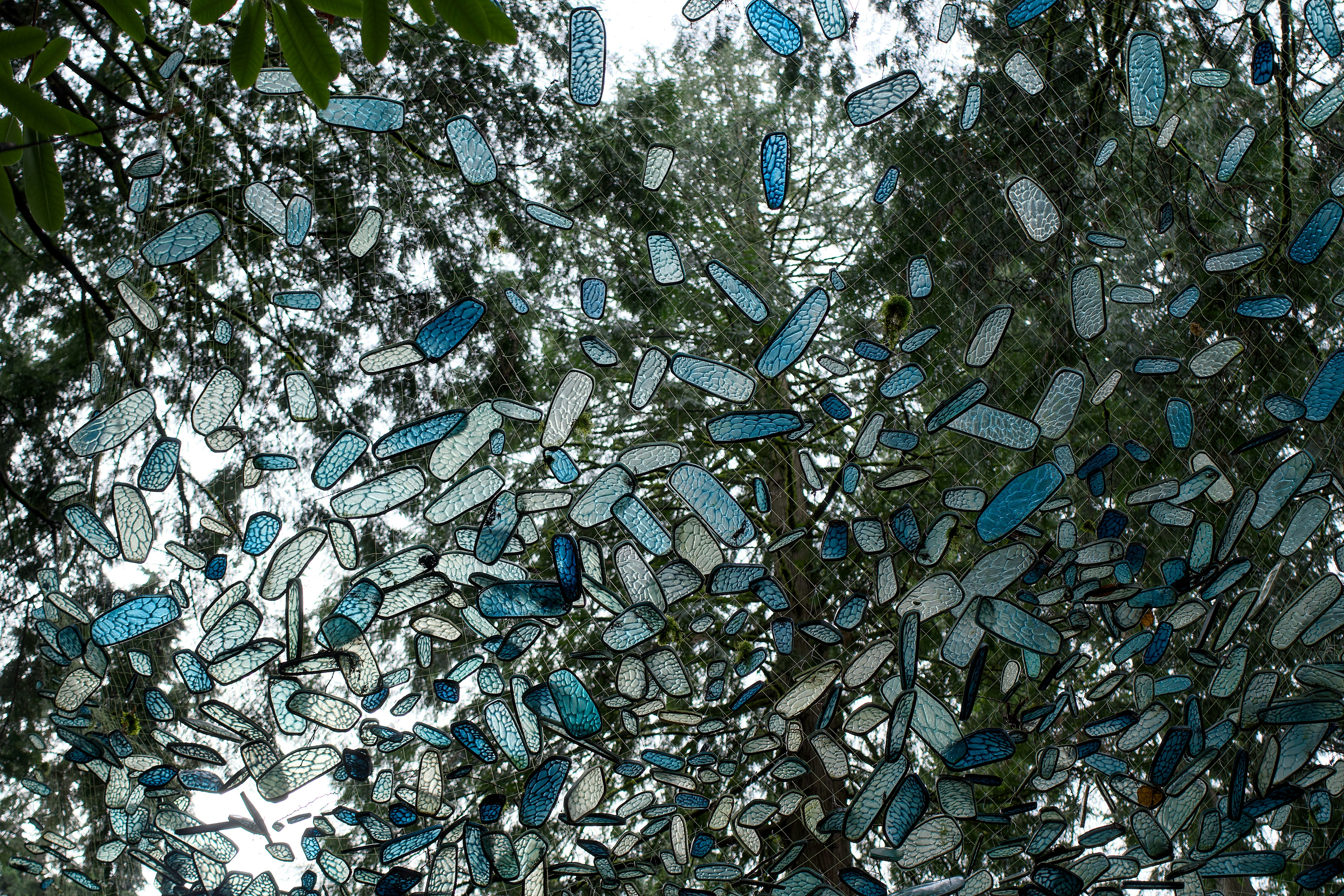 Shimmering Shards on a Mesh of Glass
