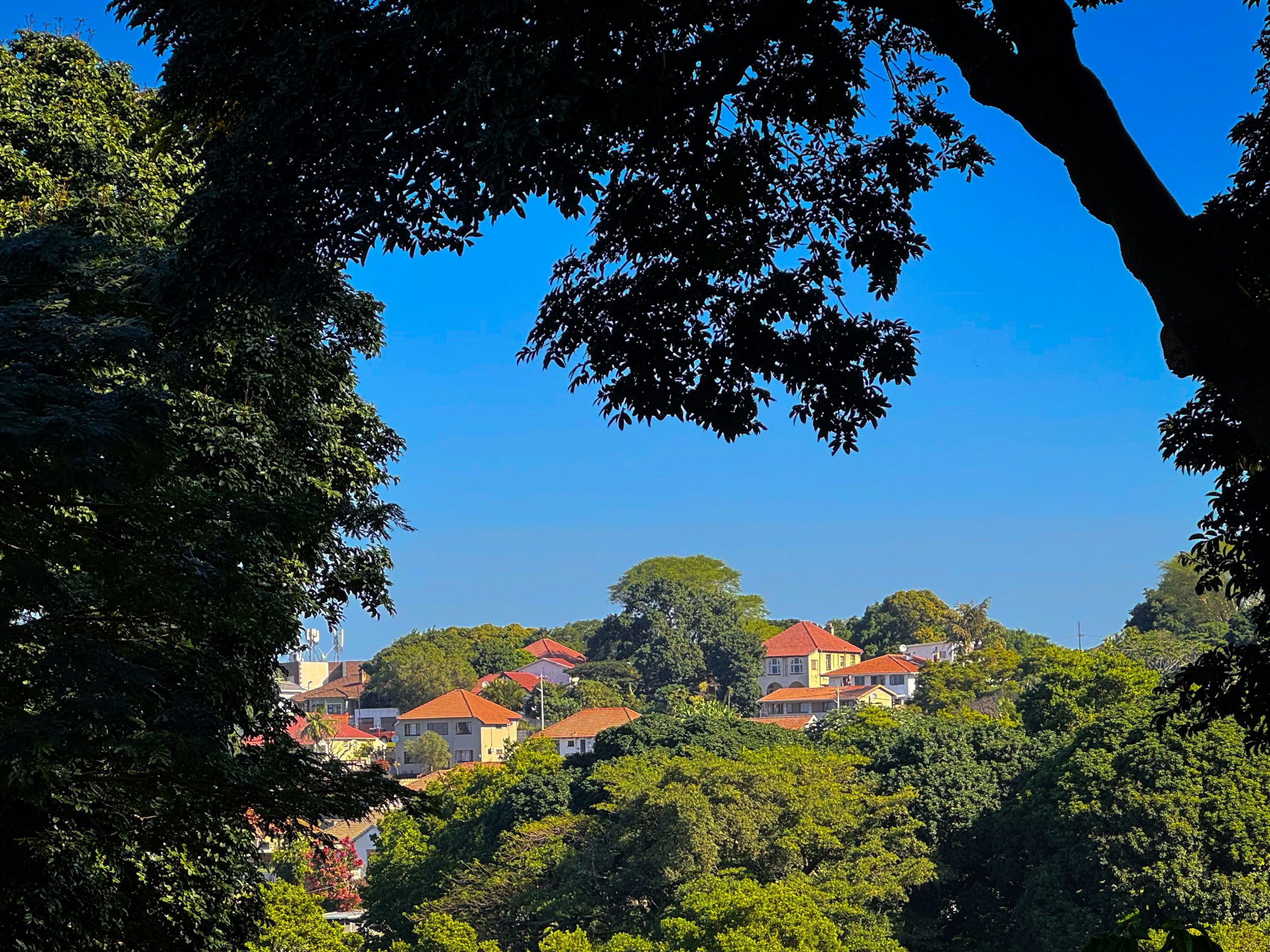 Sunlit hillside village peeked through a shaded tree frame