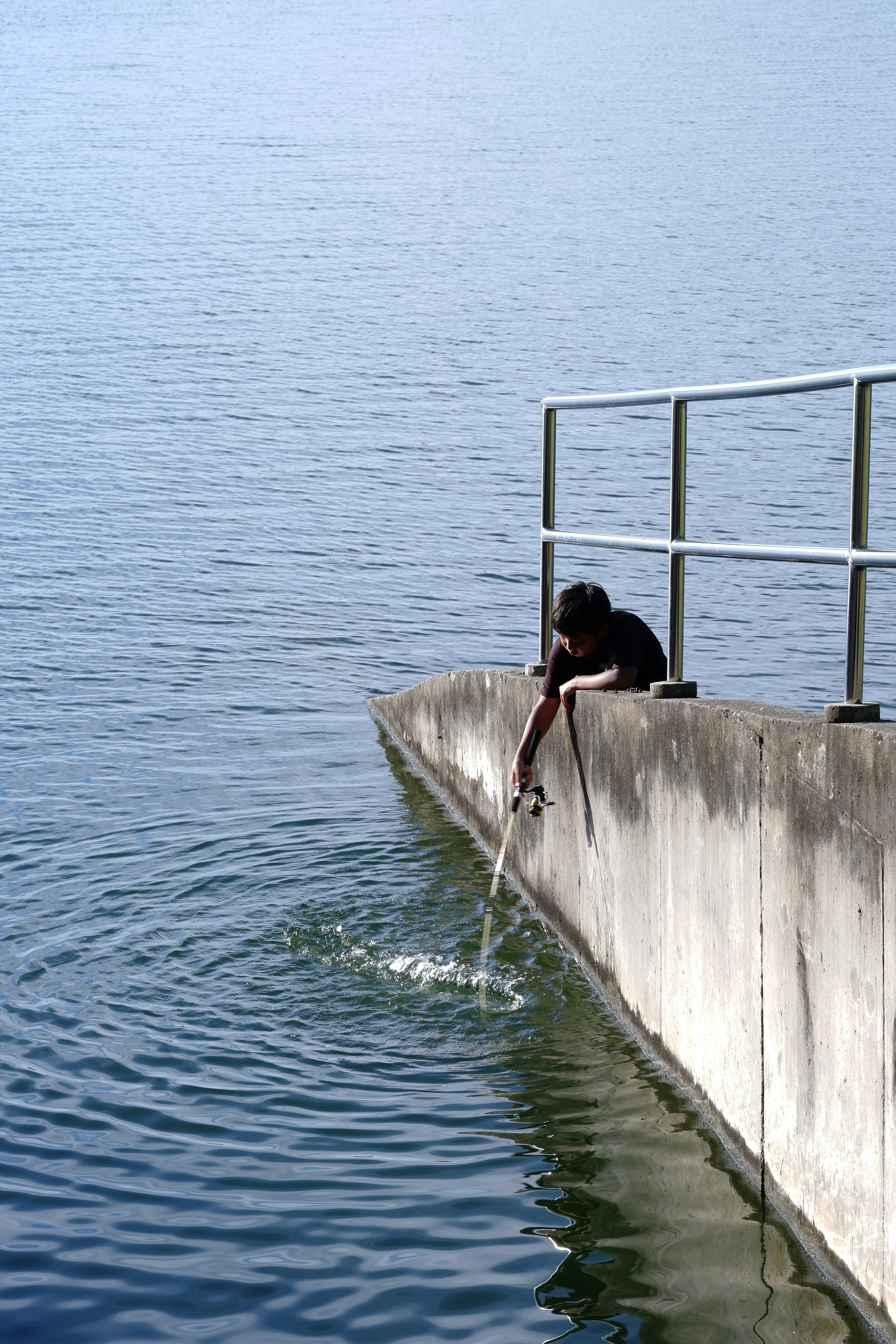 Diving Edge: A Quiet Moment at the Waterfront