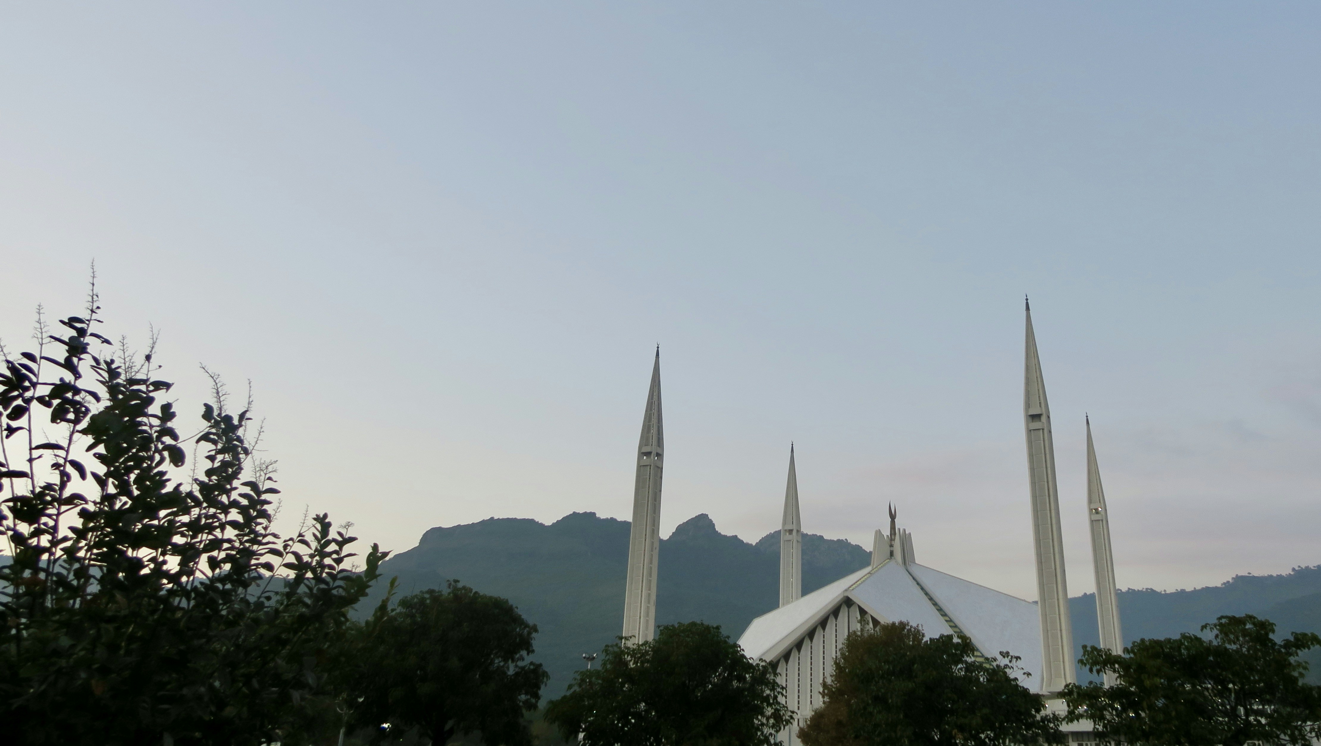 Seaside Spires: A Modern Cathedral Framed by Green Canopies