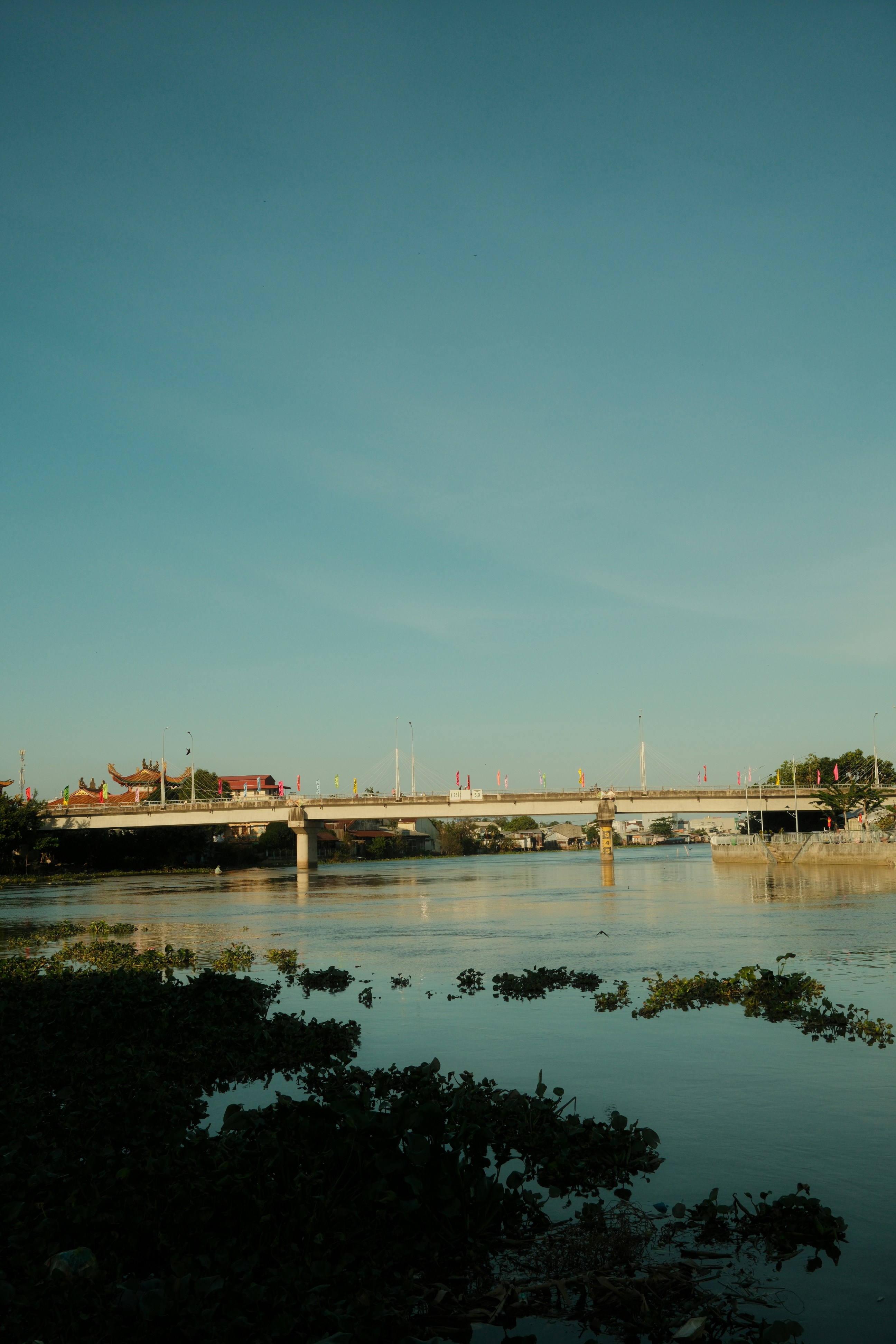 Bridge of Quiet Currents Over a Sunlit River