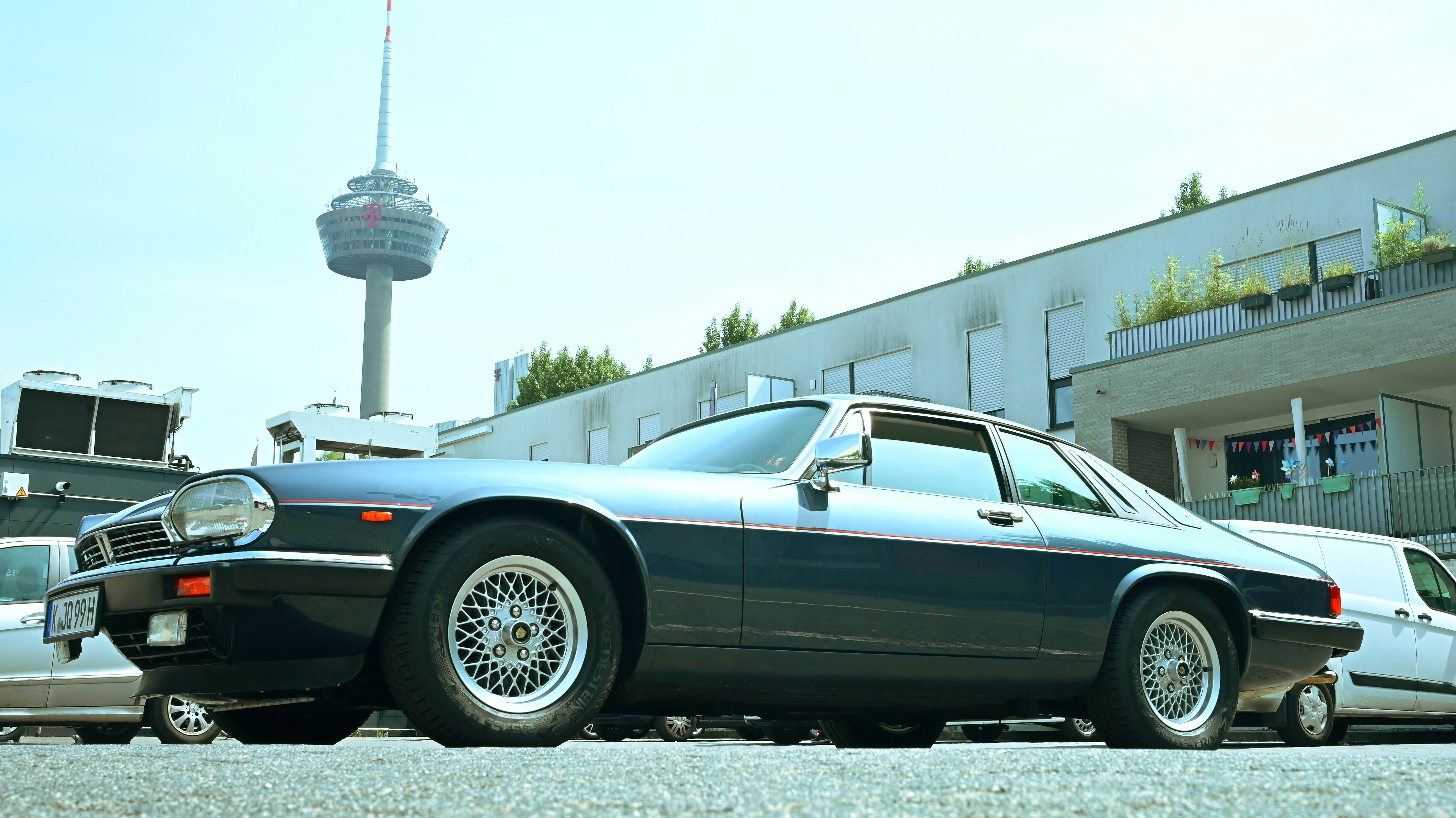 Midday Stance: A classic Jaguar rests along a sunlit urban curb
