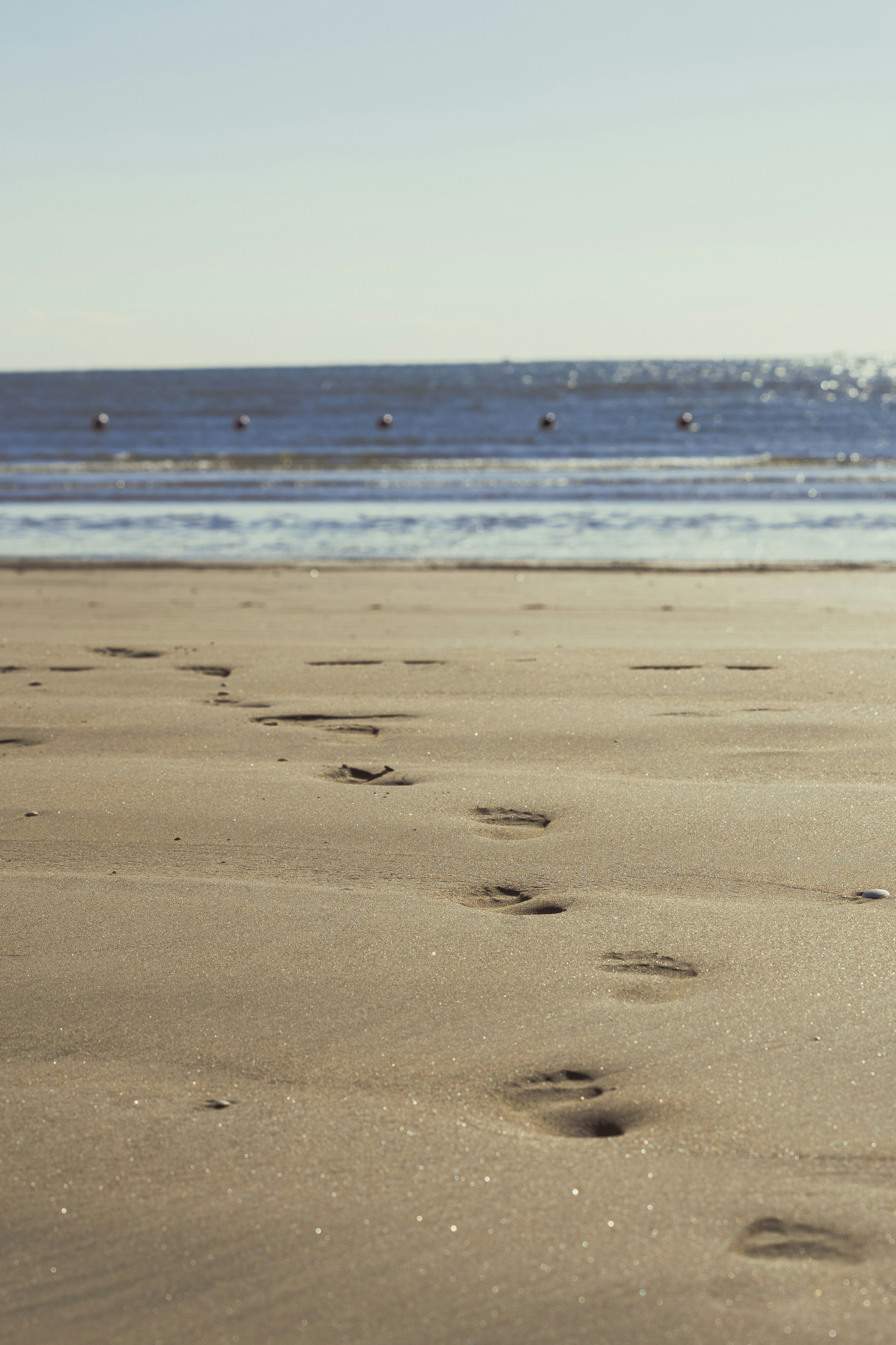 Footprints to the Sea: A Quiet Beach Walk