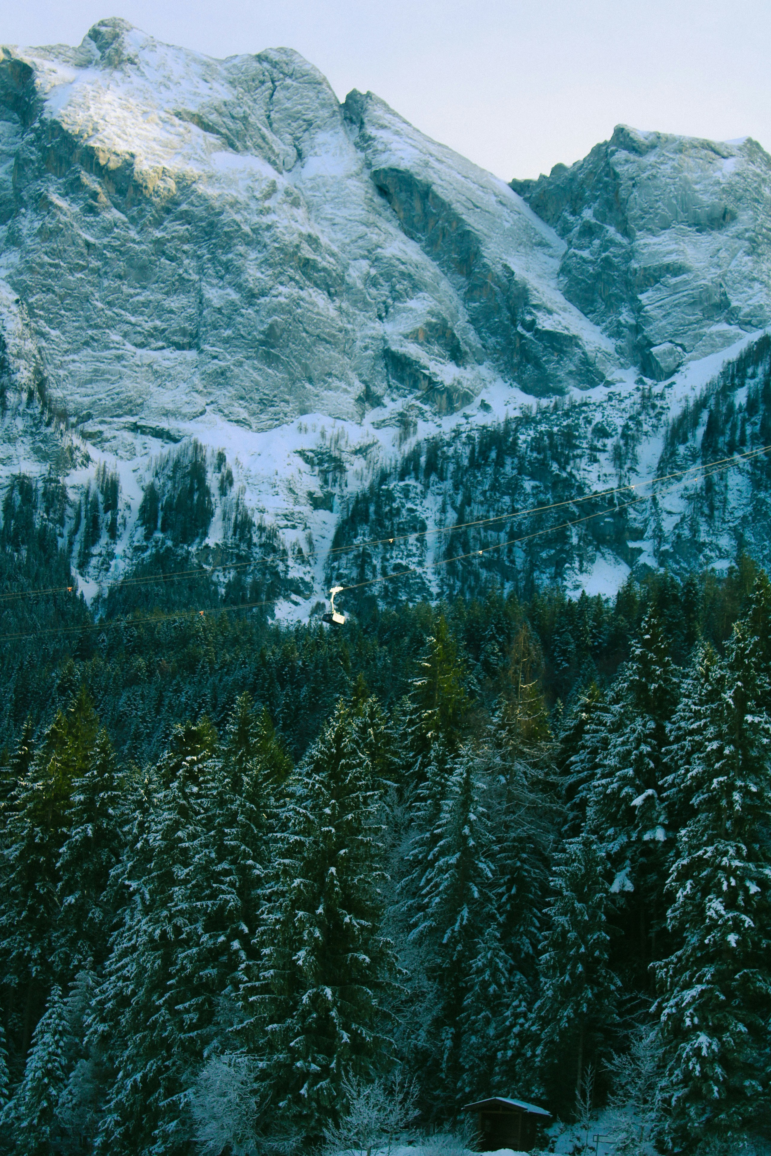 Snowbound Giants: A Pine-Filled Ascent Beneath Icy Peaks