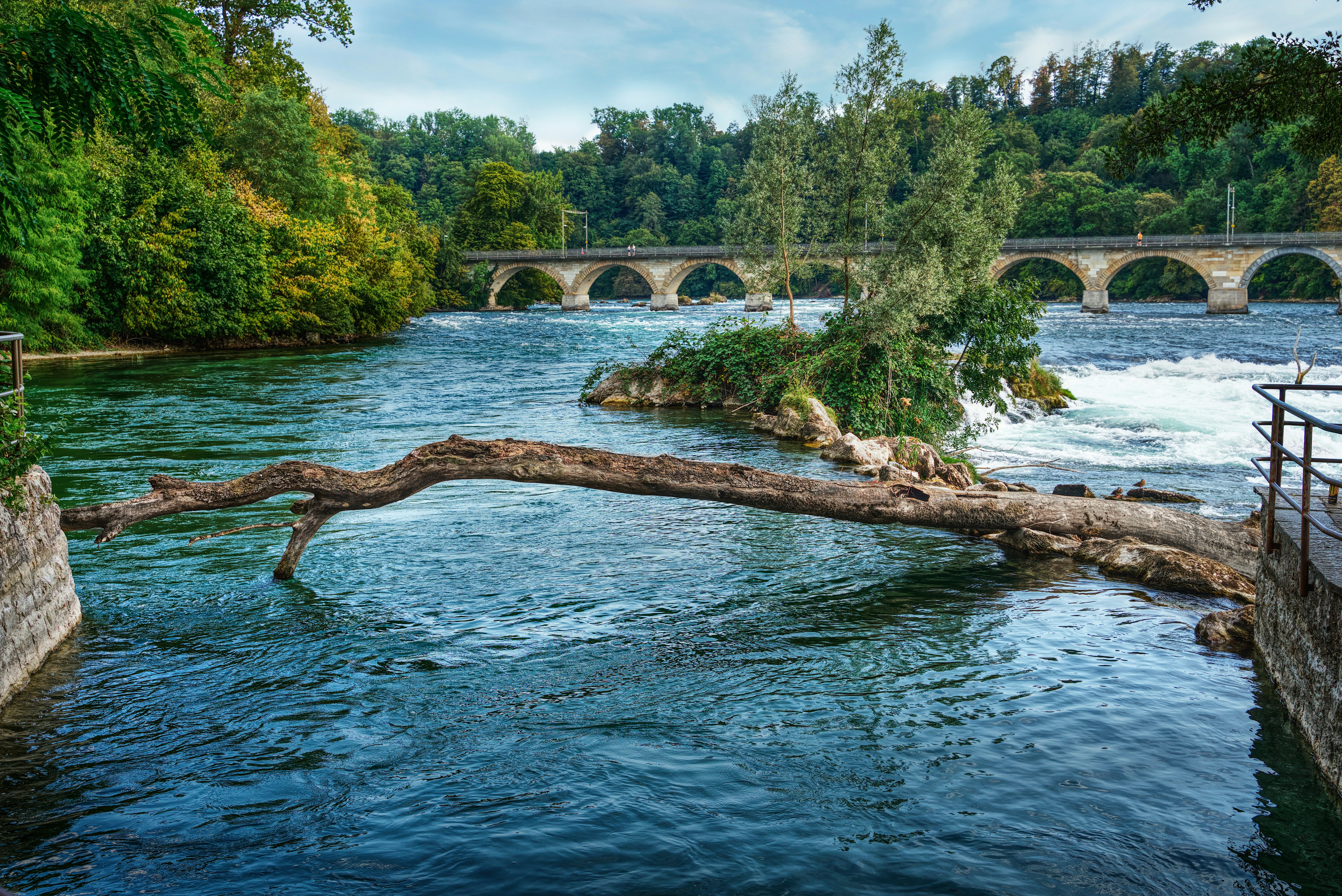 Arched Bridge Framing the River: A Fallen Branch Sets the Scene