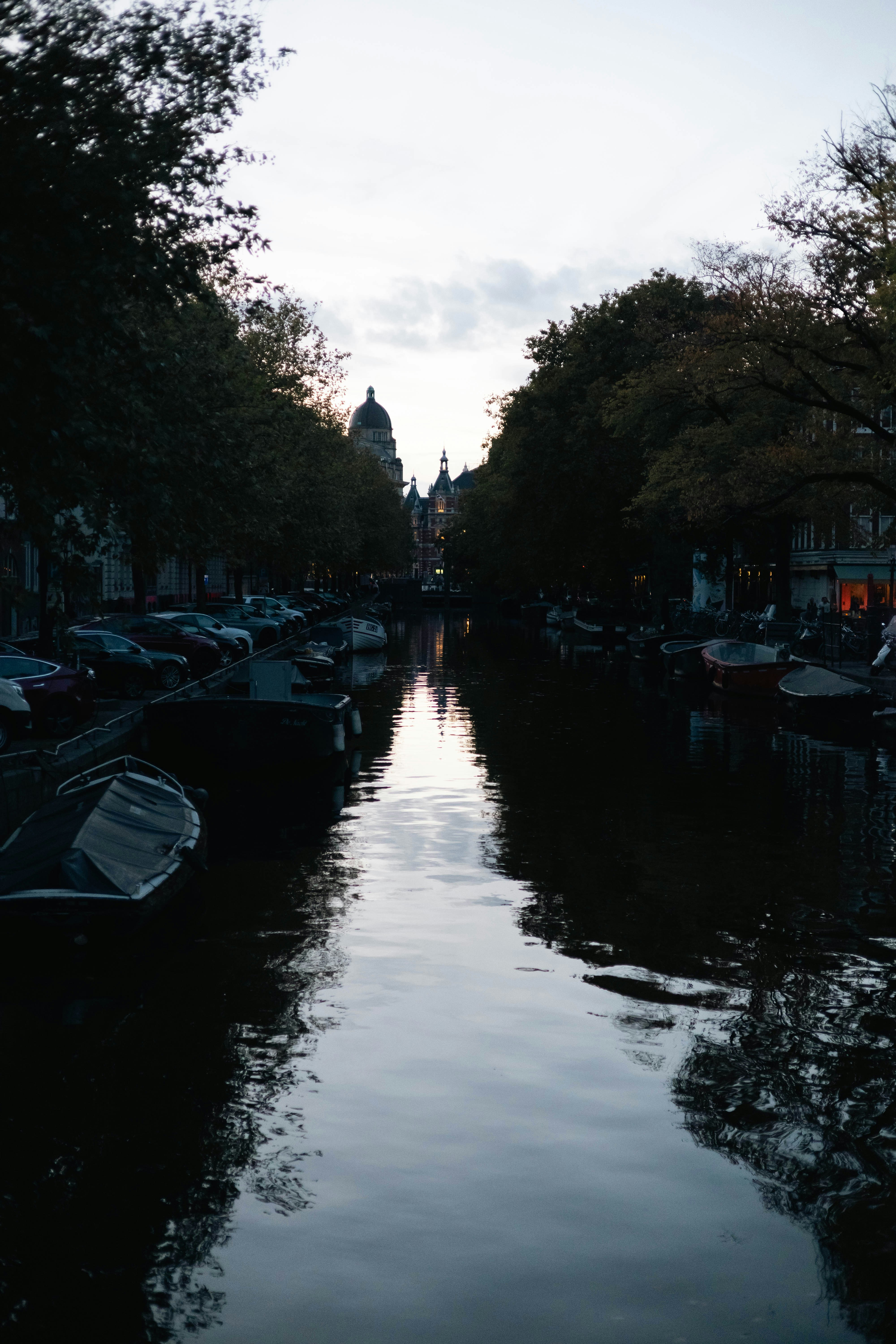 Canal Confluence: Evening Tour Beneath the Silhouetted Trees
