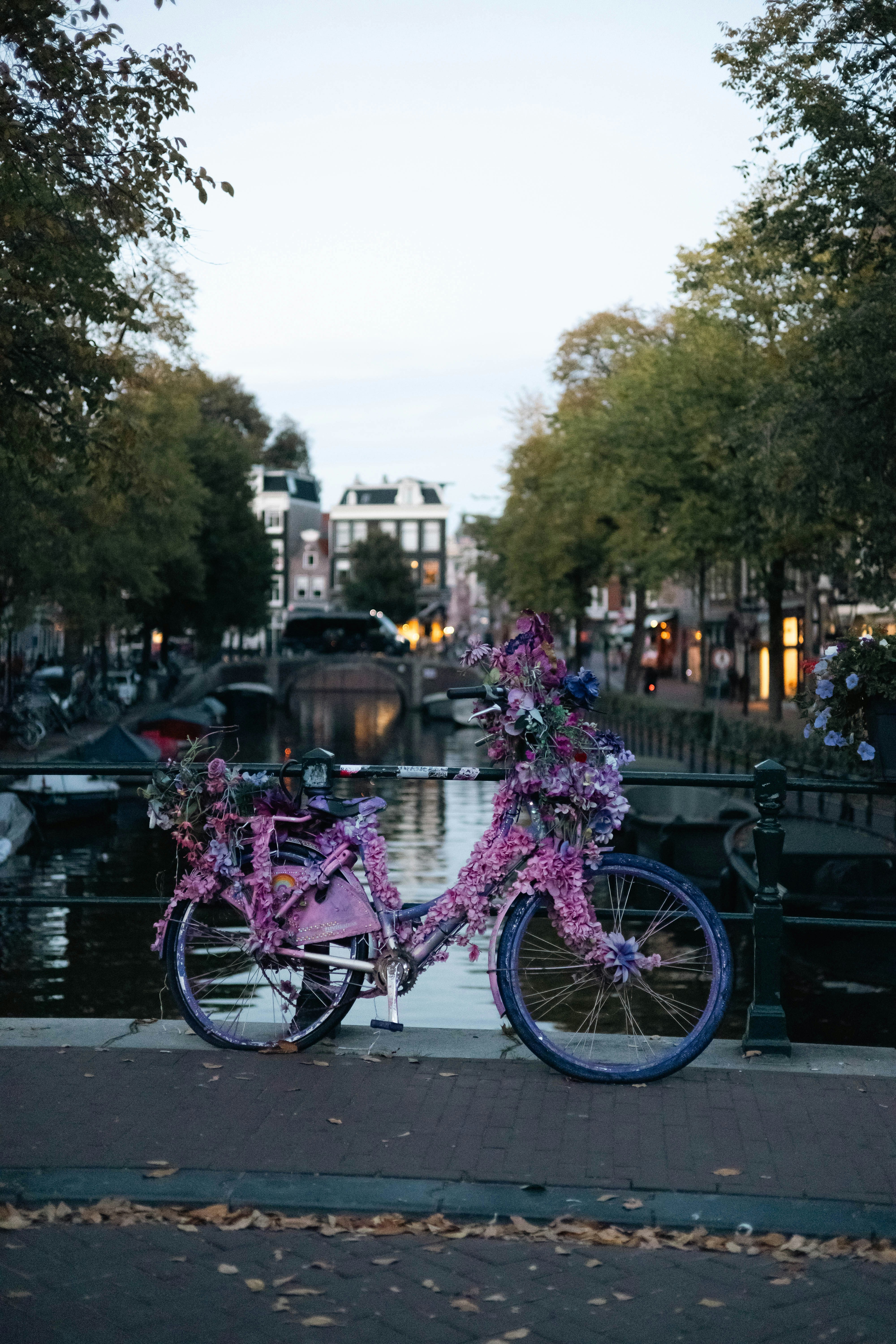 Floral Steamroller: A Bicycle Blooming by the Canal