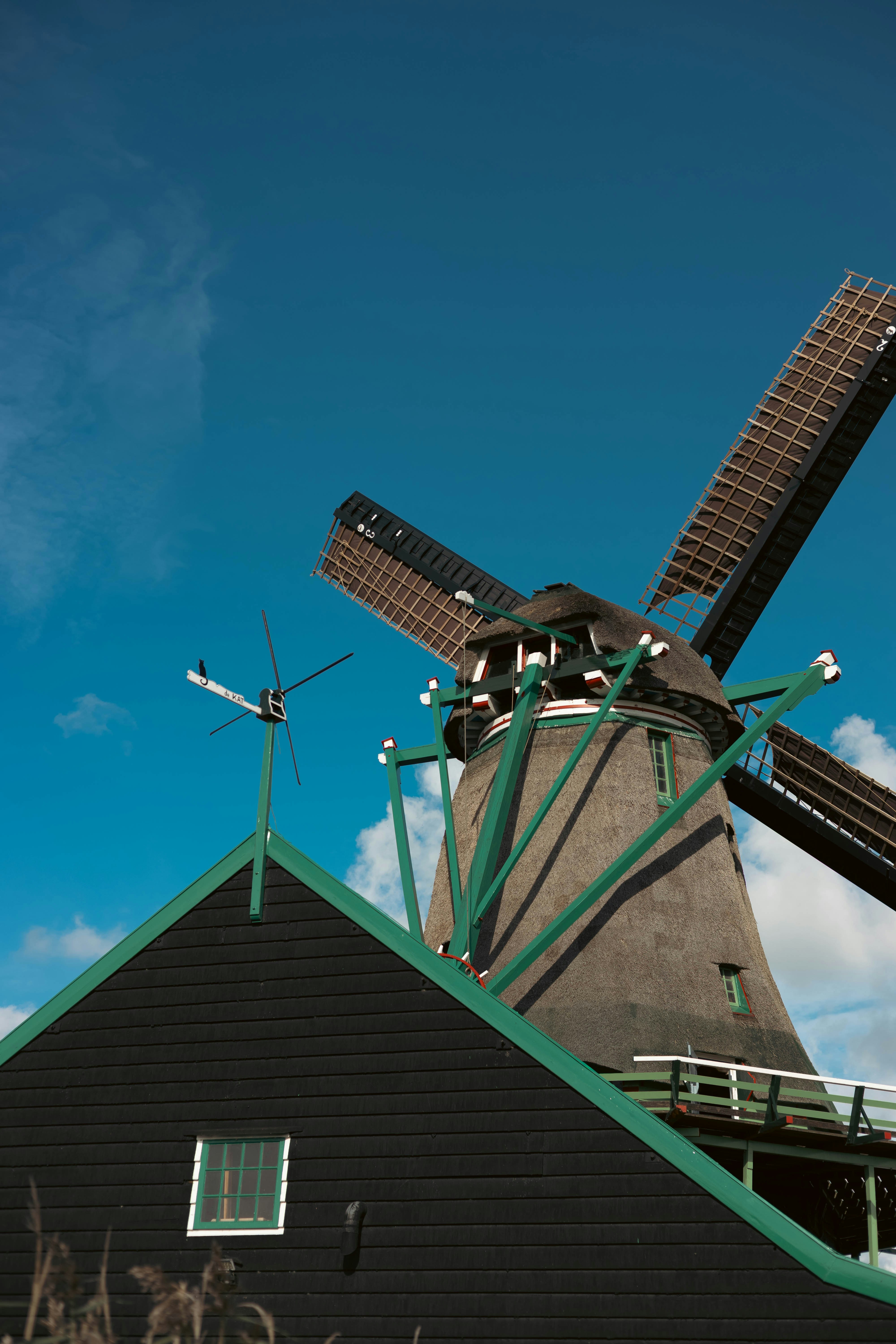 Windmill Crest: A Cedar-Shaded Structure Under Towering Blades