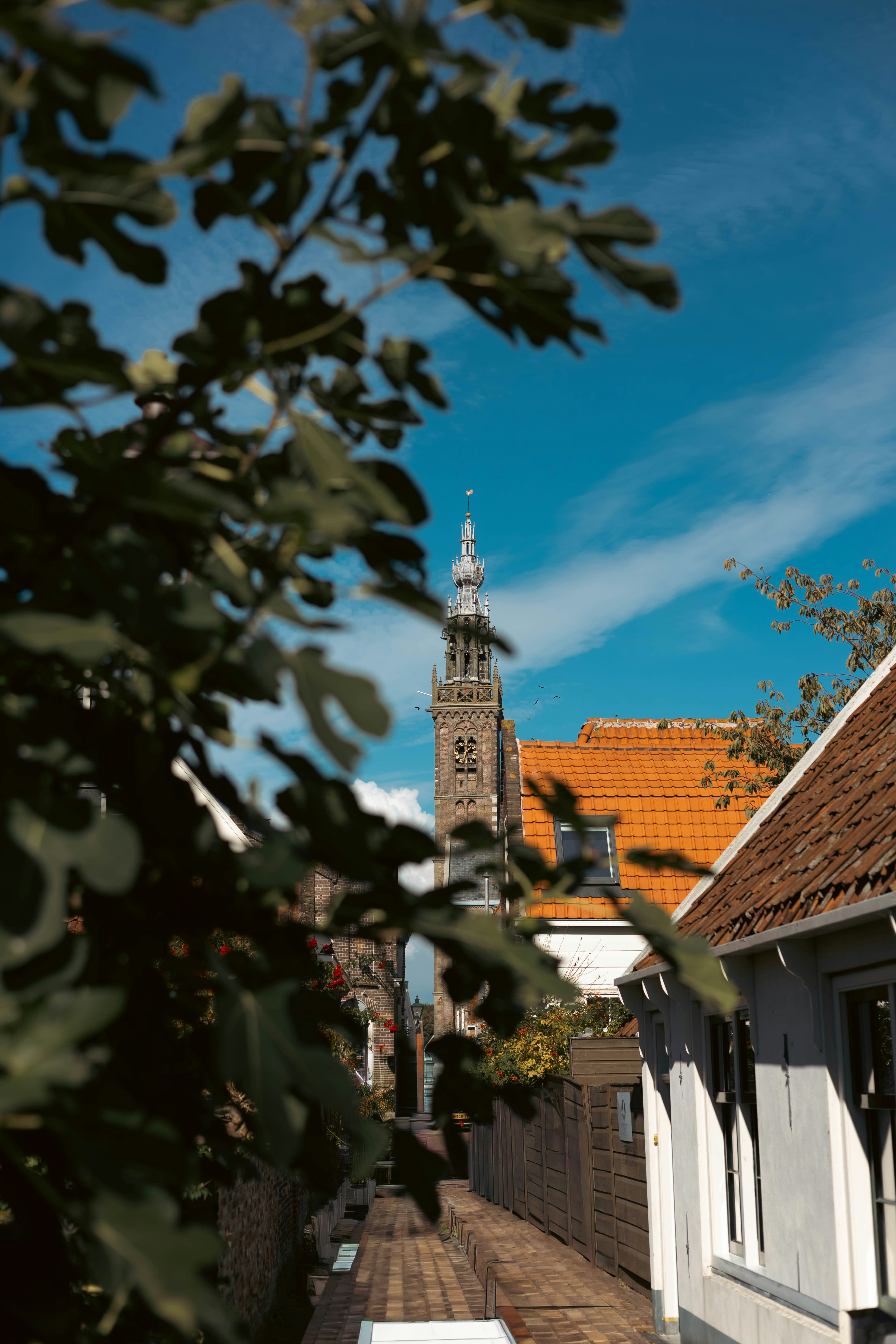 Towering Gables and a Sky-Blue Conduit: A Narrow Alleyway Portrait