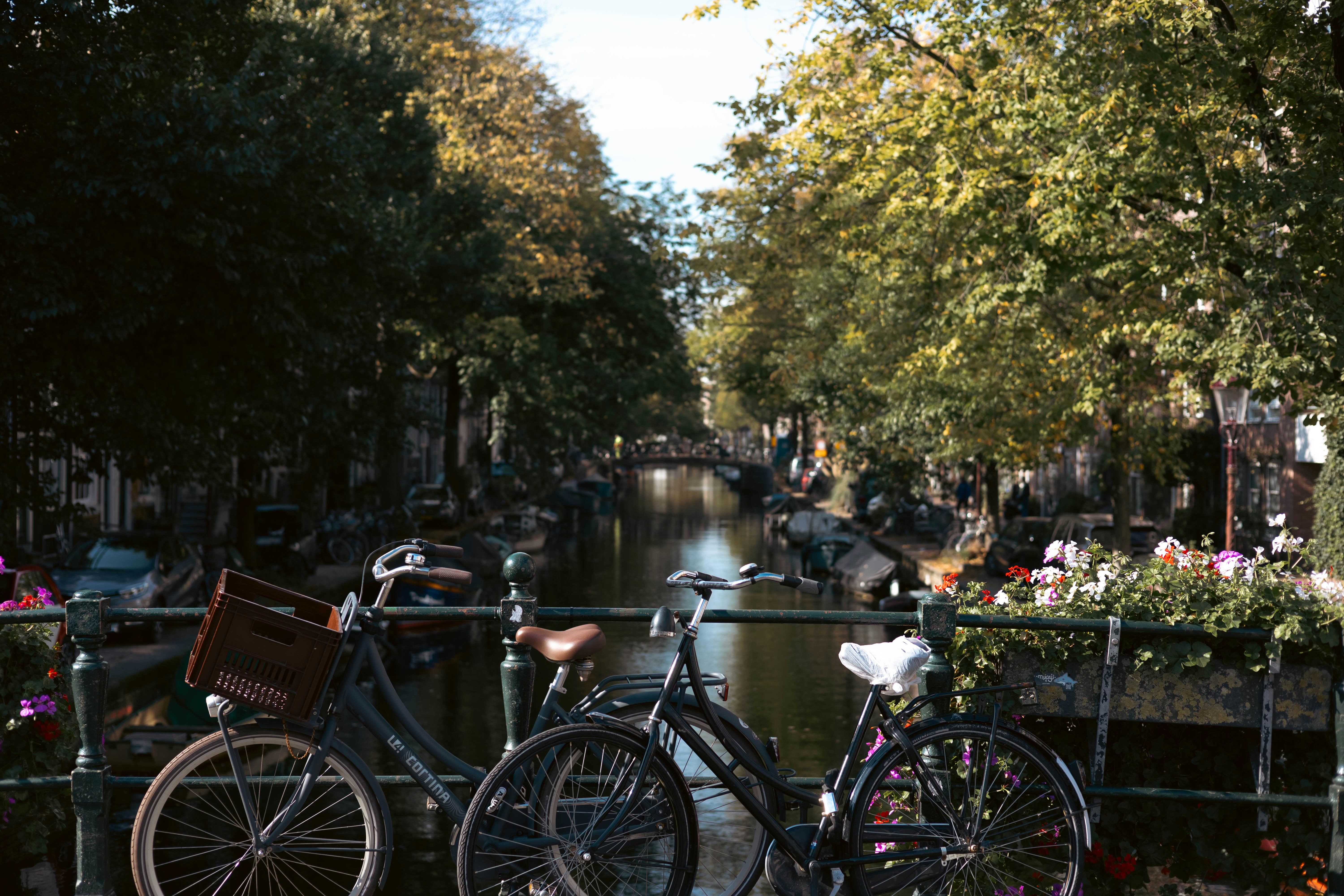 Bikes by the Canal: Quiet Morning Across the Waterway