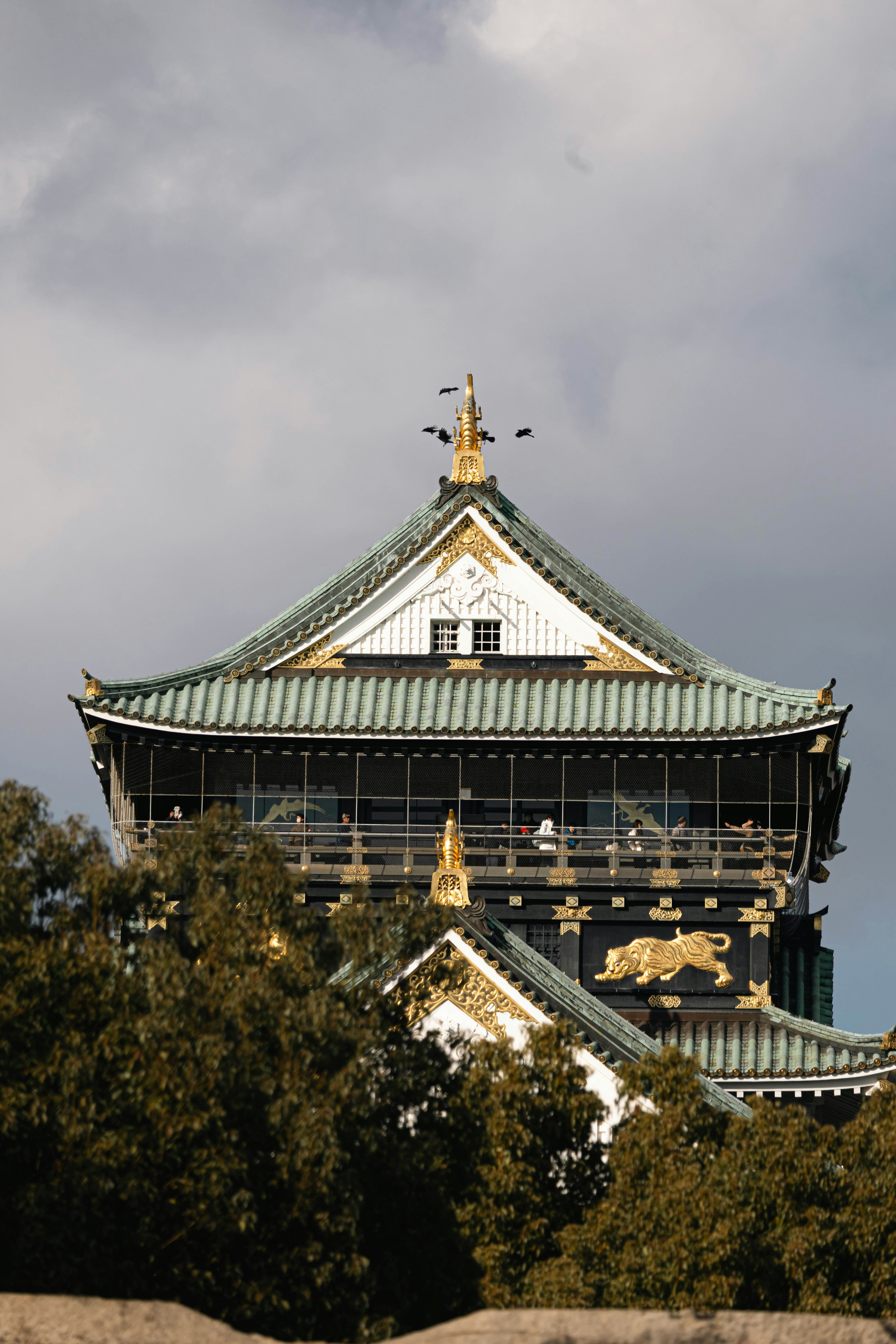 Golden Crest of the Temple: Birds Above the Rooftop
