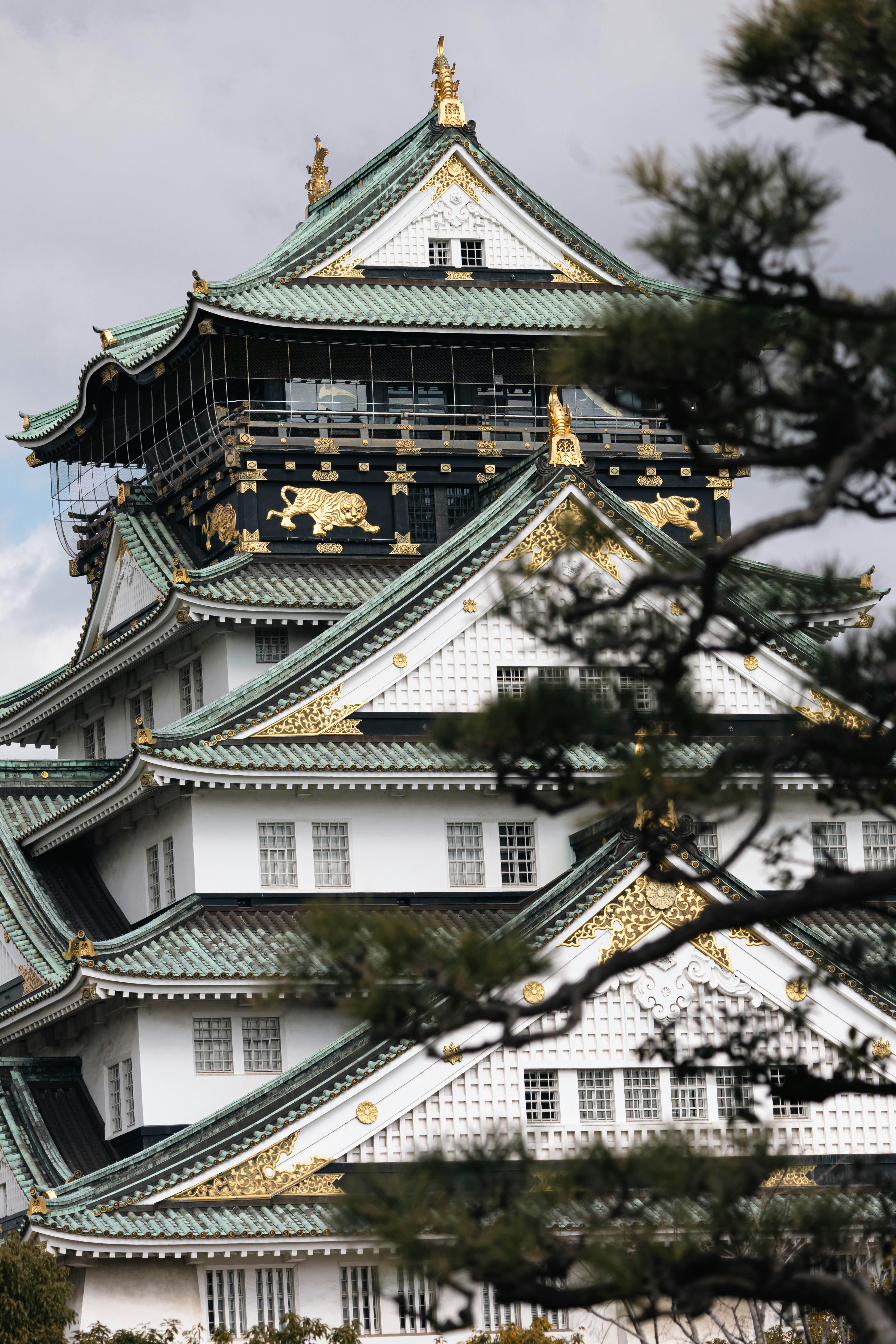 Golden Dragons and White Facades: A Towering Japanese Castle Framed by Pine