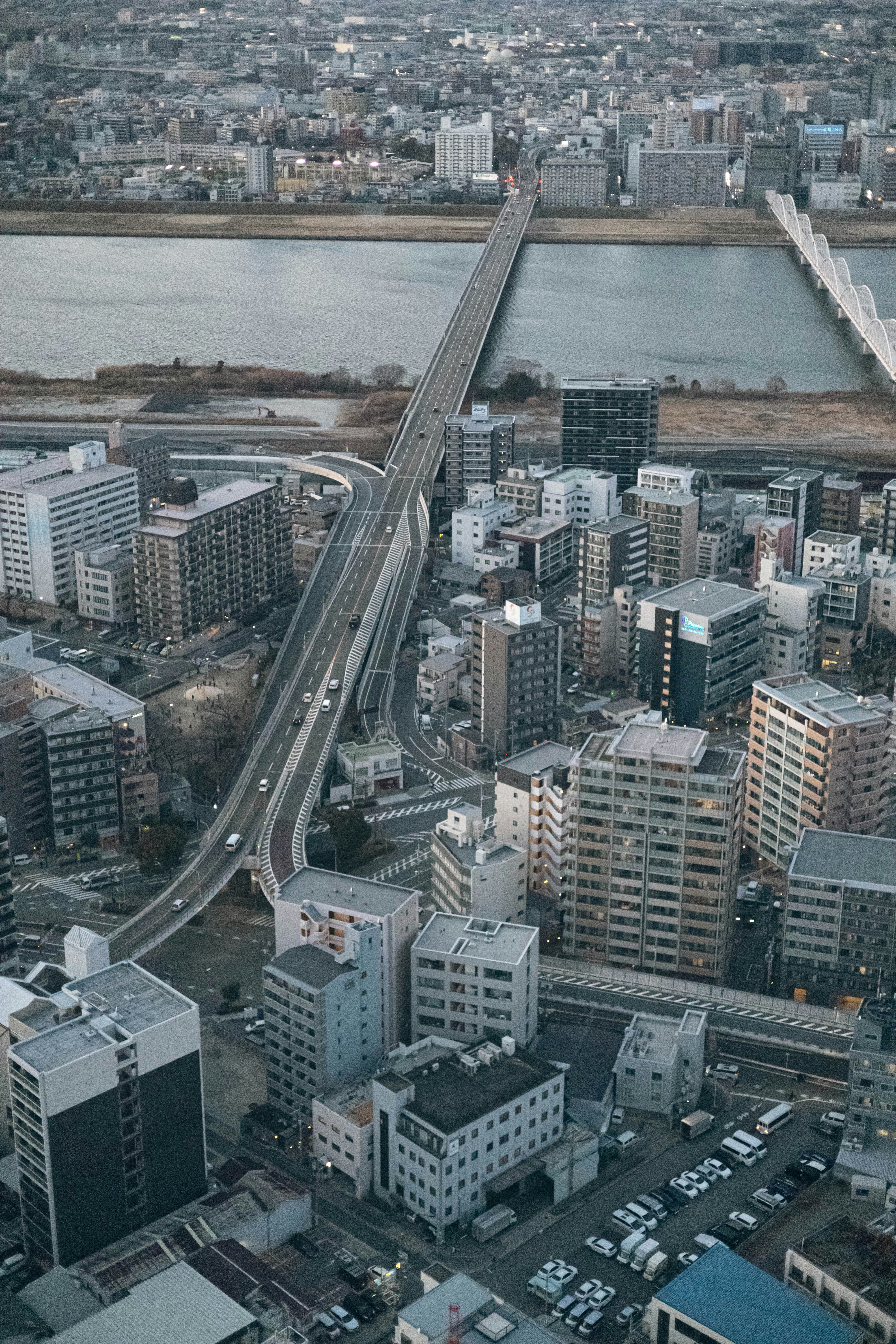 Elevated Spine: A City Bridge Cuts Through a Sea of Towers