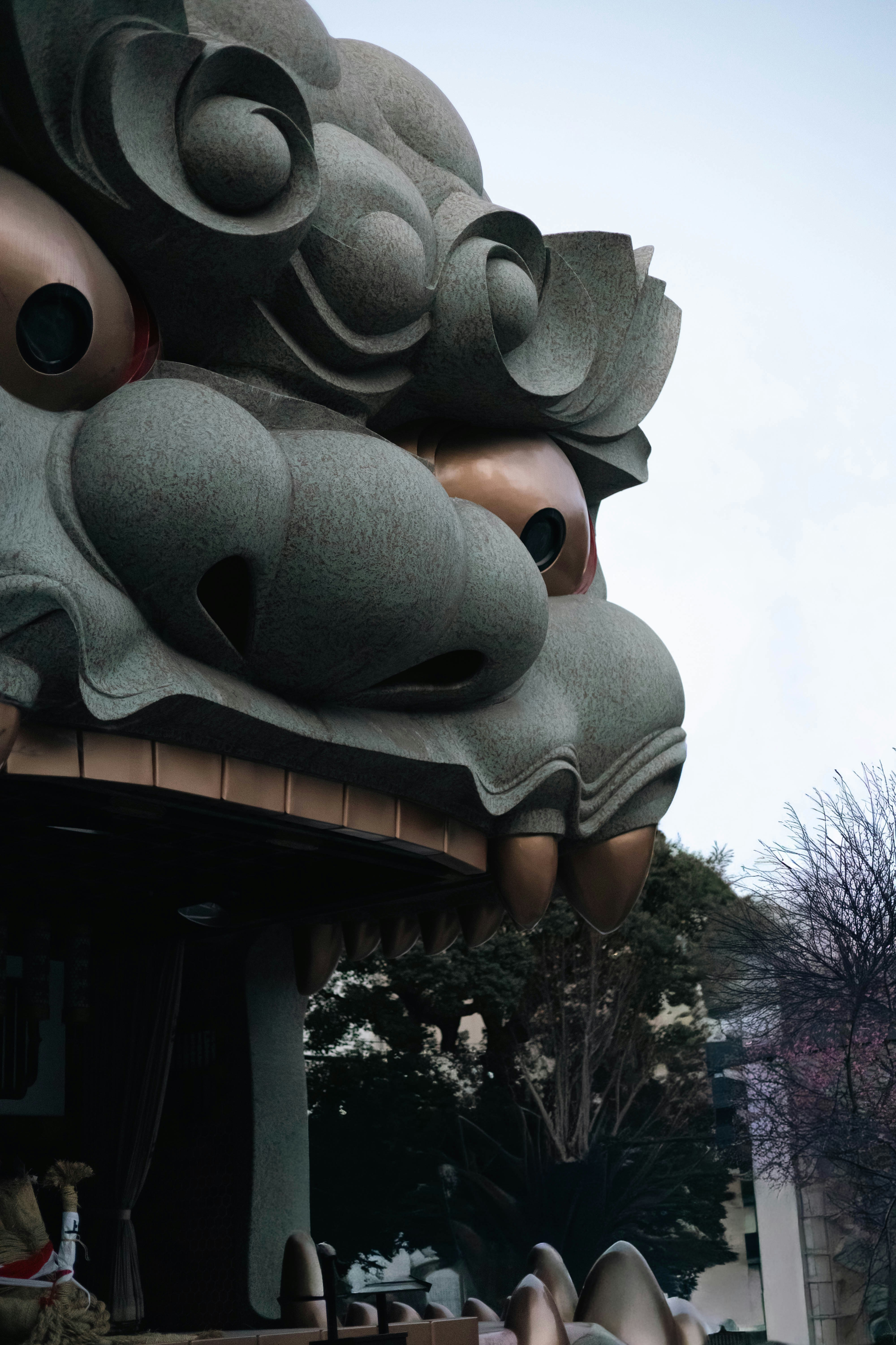 Curved Grooves of a Dragon’s Gaze