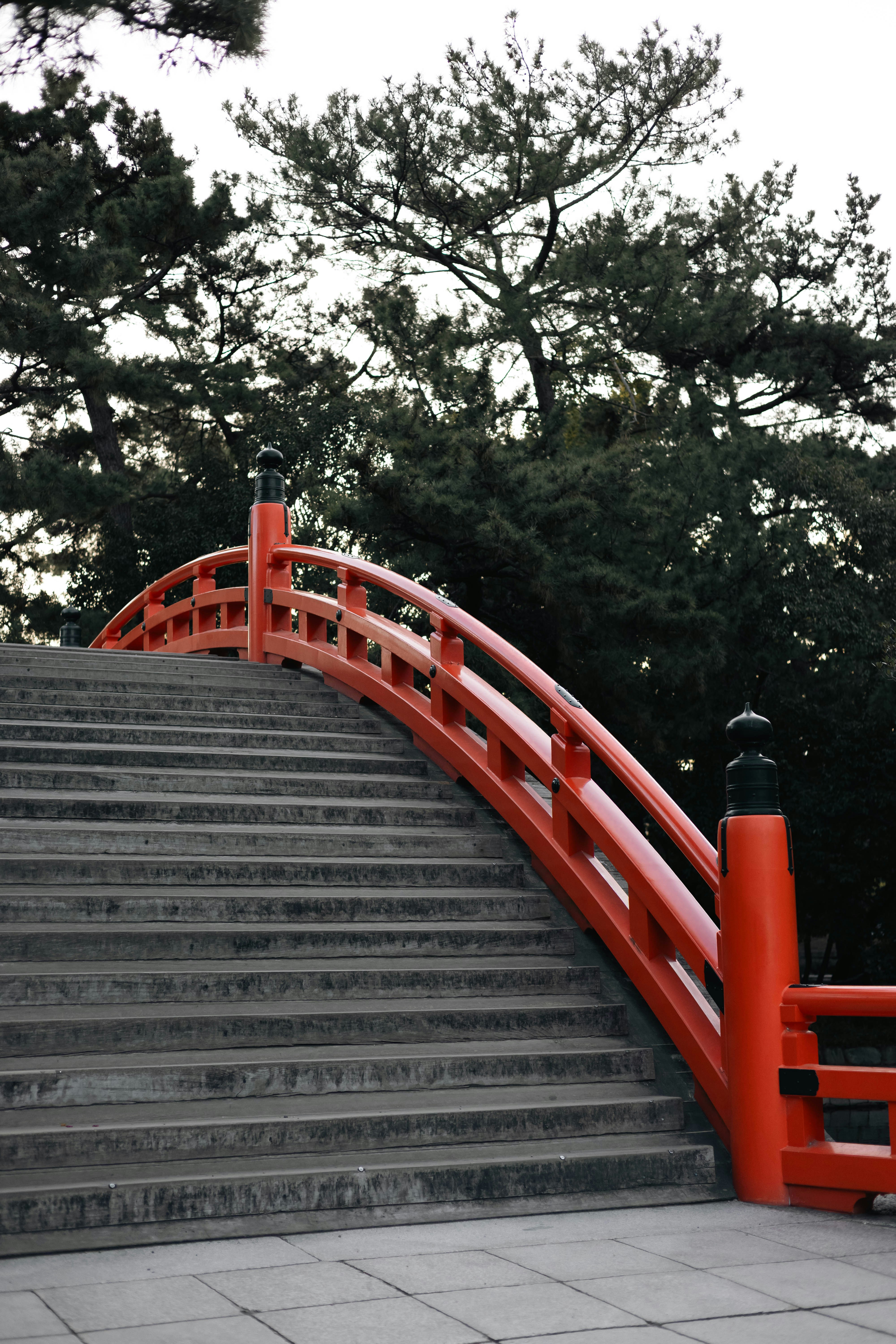 Red Bridge Ascent: A Quiet Pathway Through Cedar Shadows