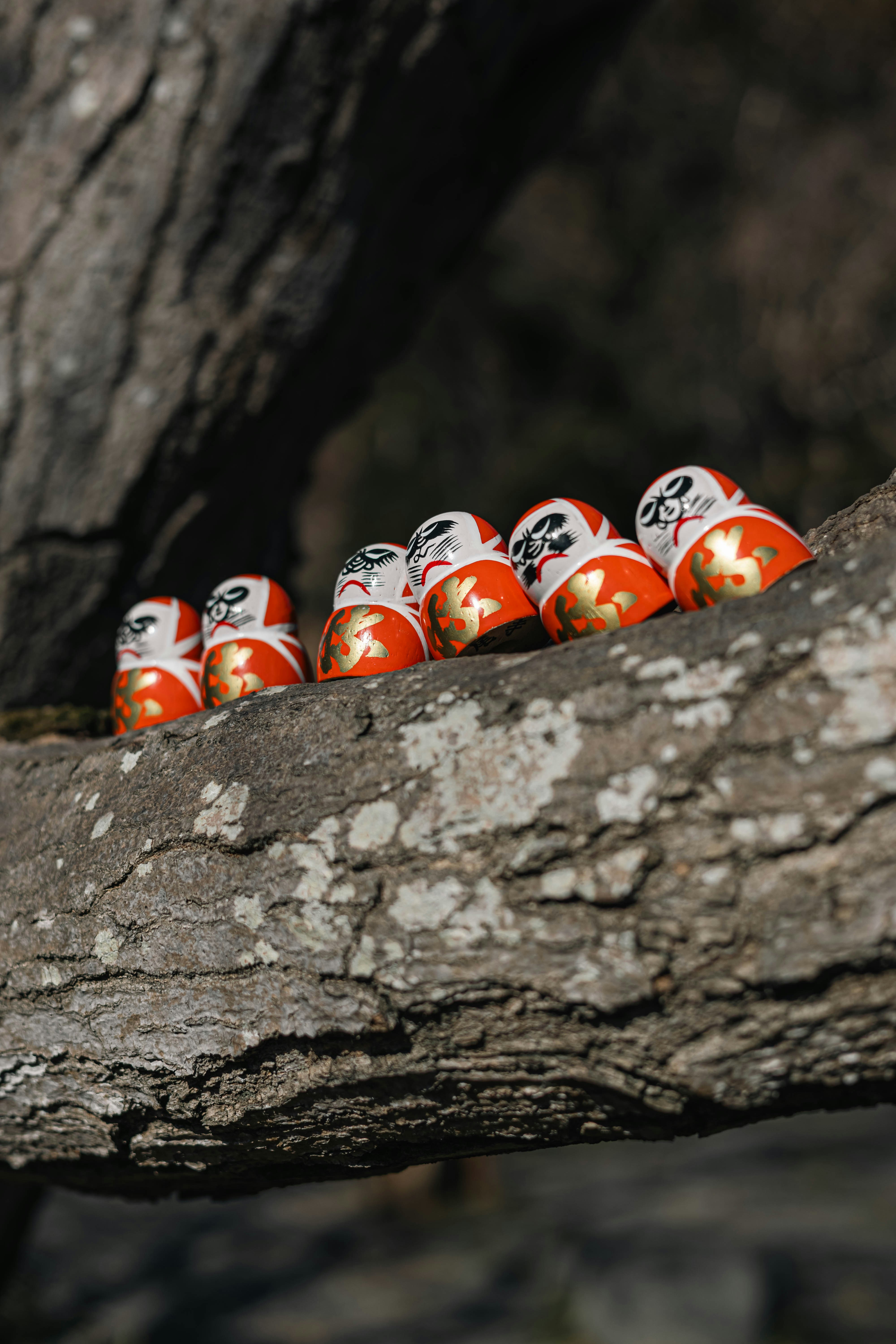 Row of orange and white beads resting on a weathered tree limb