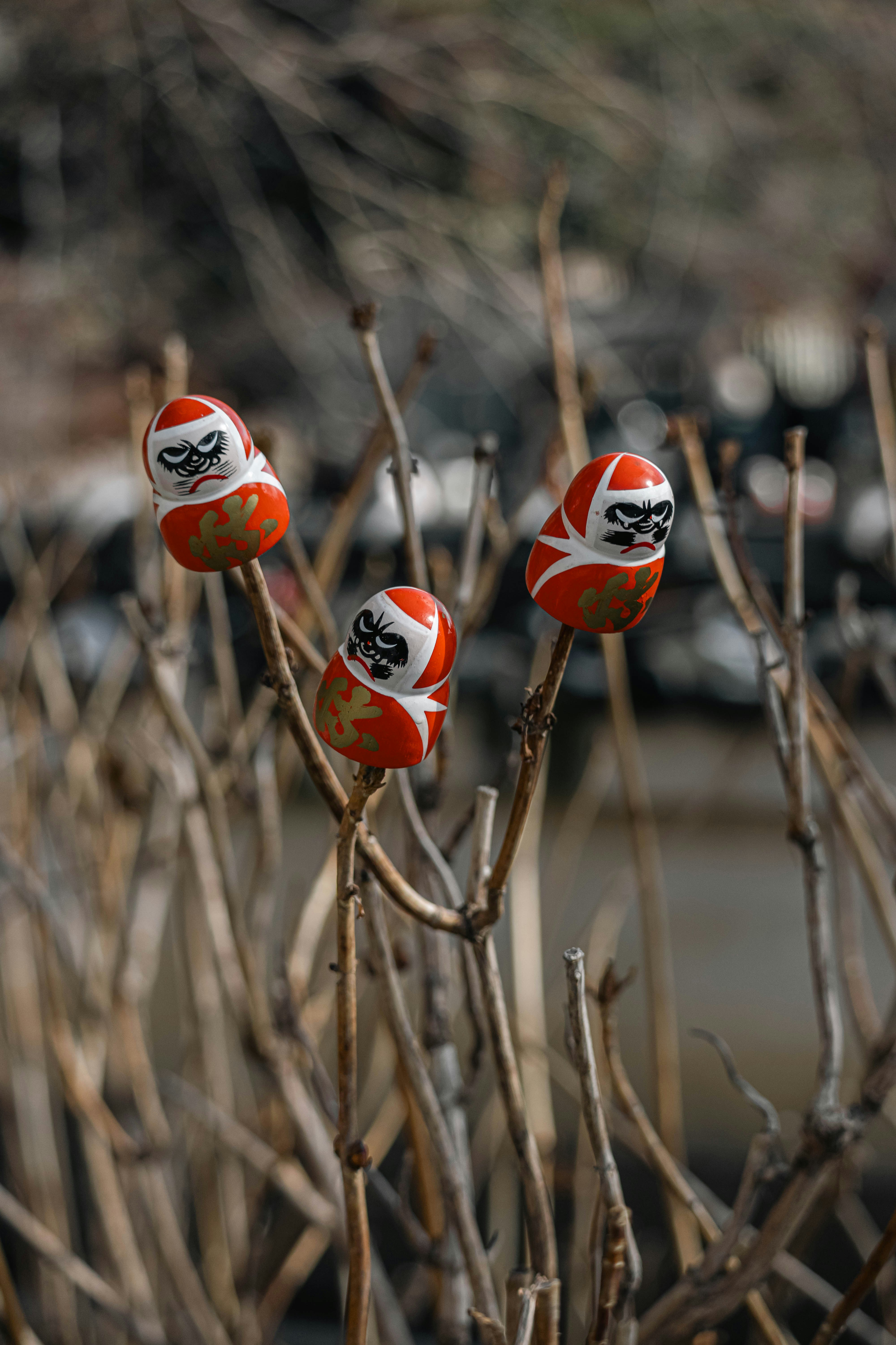Daruma on a Winter Branch: Tiny Faces with Bold Red Markings