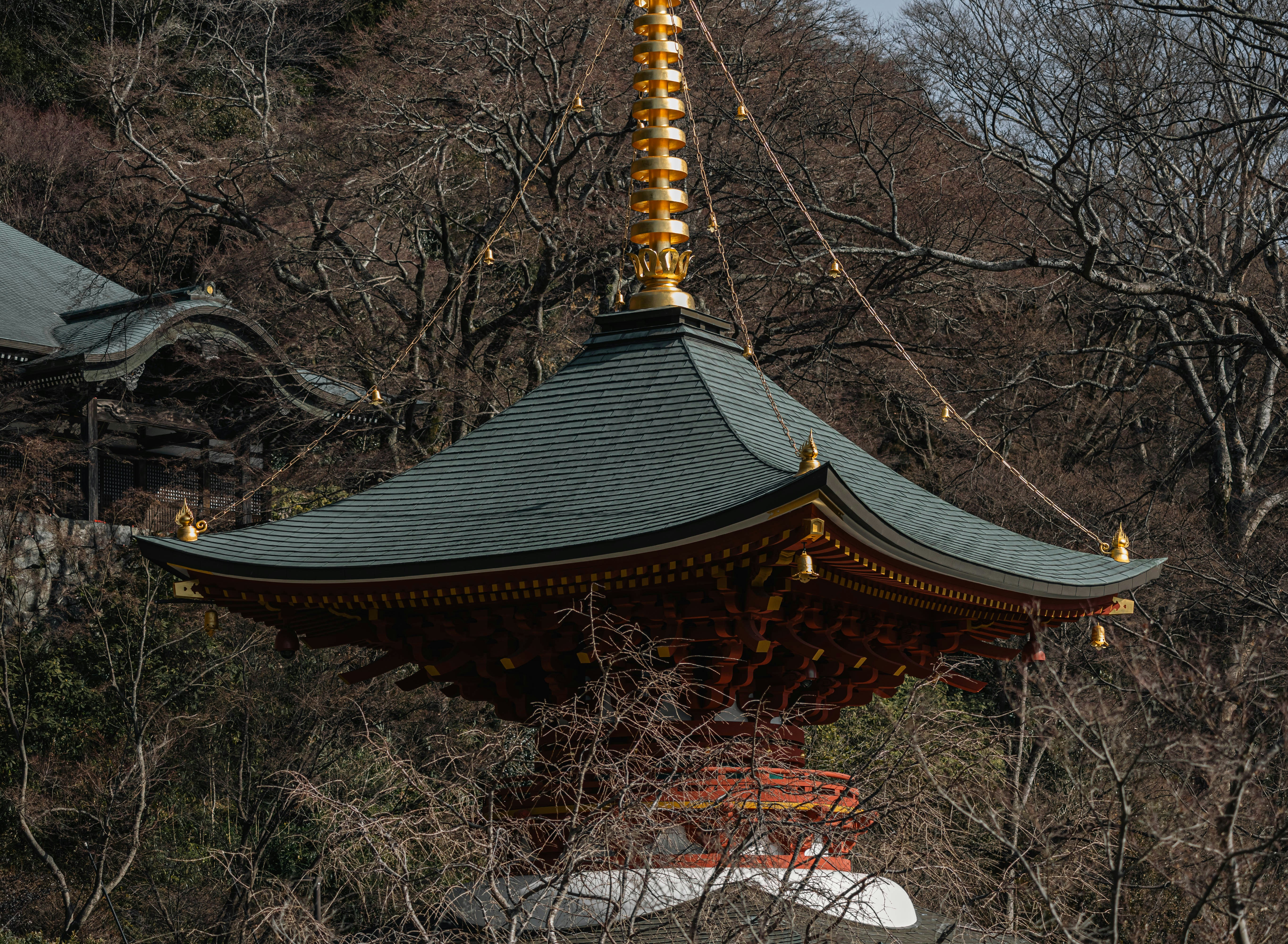 Double-Tiered Harmony: Pagoda Rising Through Winter Branches