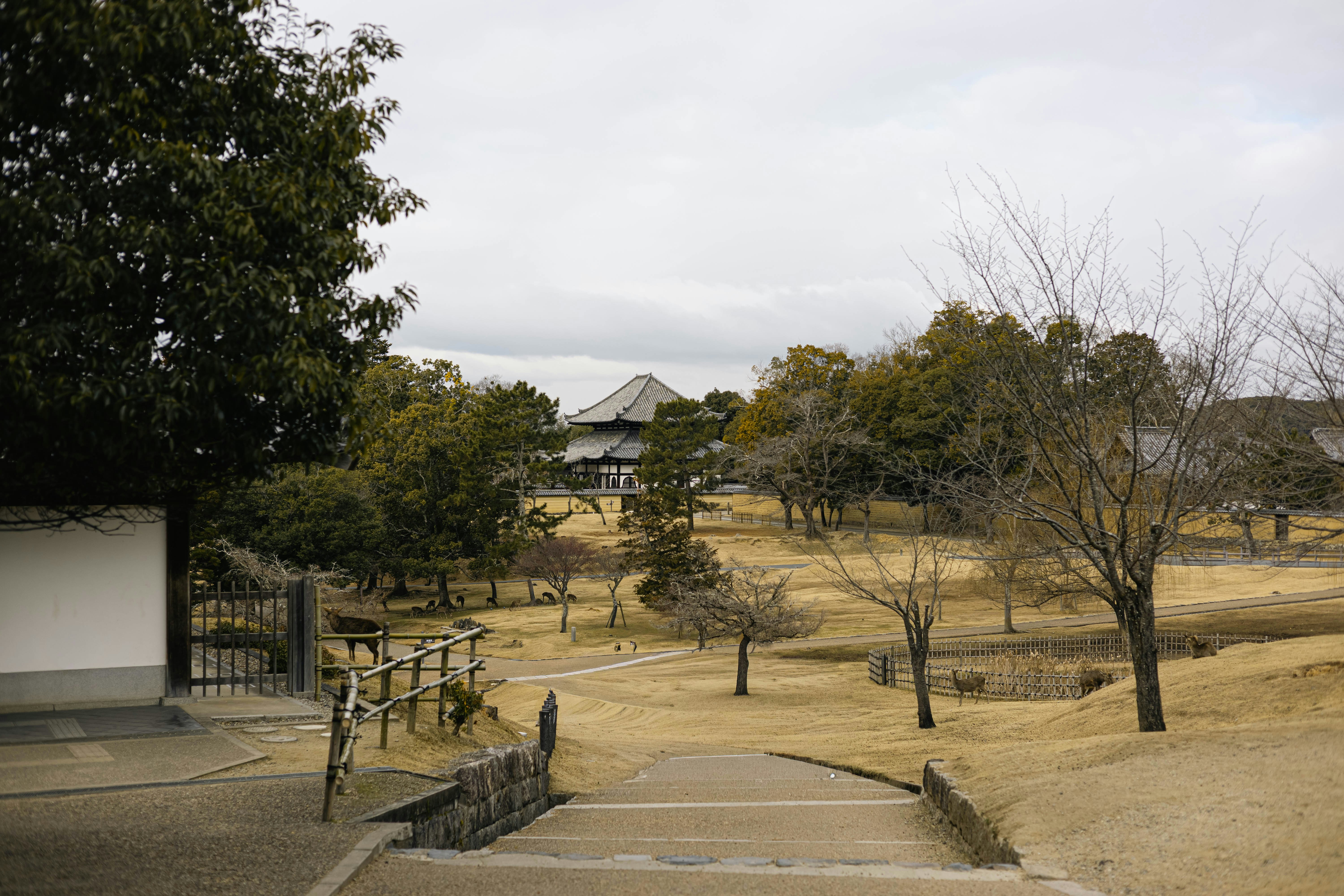 Garden Path to the Hidden Pavilion