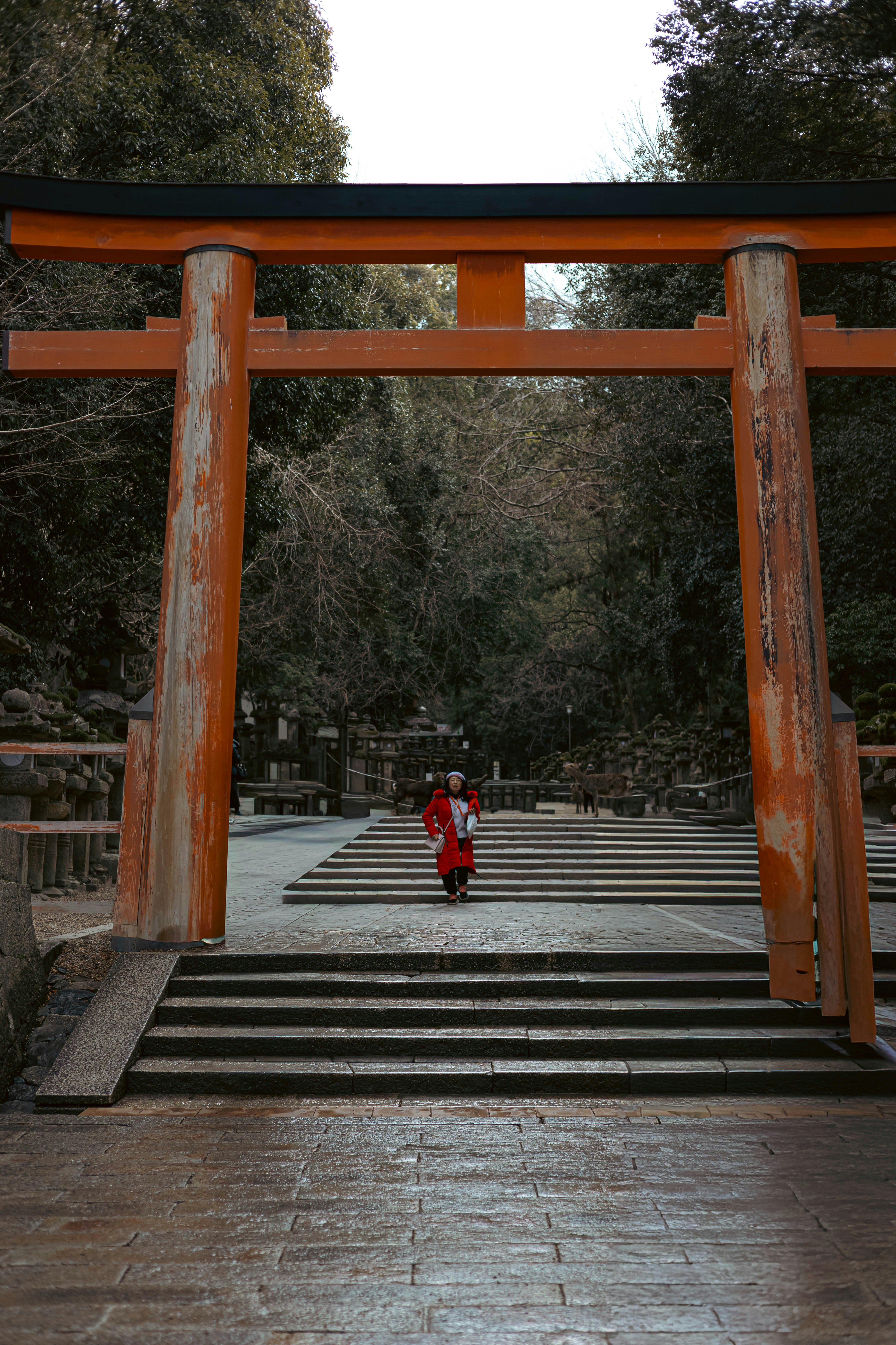 Red-Cloaked Figures Through the Gate: A Path to Traditions