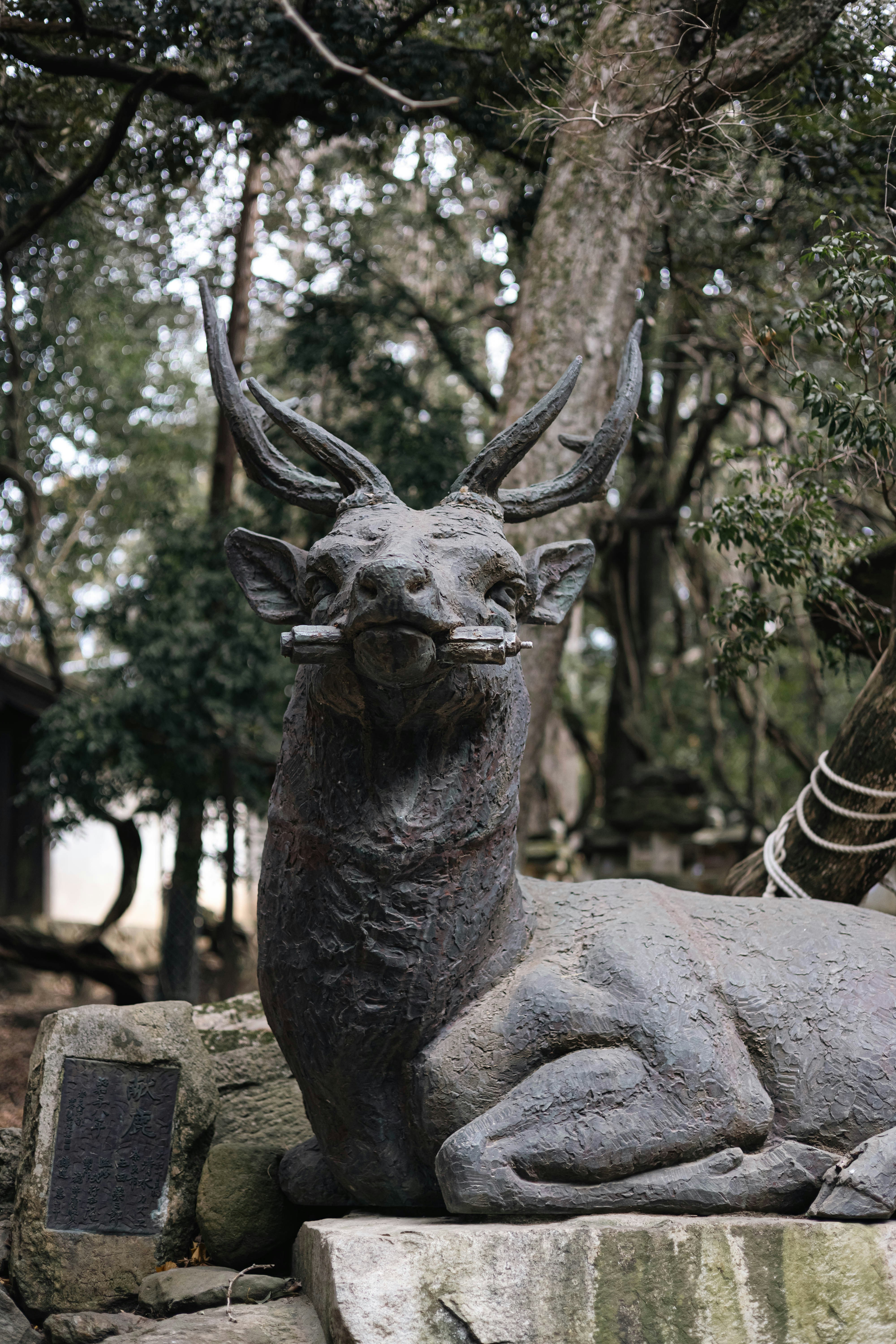Guardians of the Shrine: A Stone Stag in Quiet Reverence