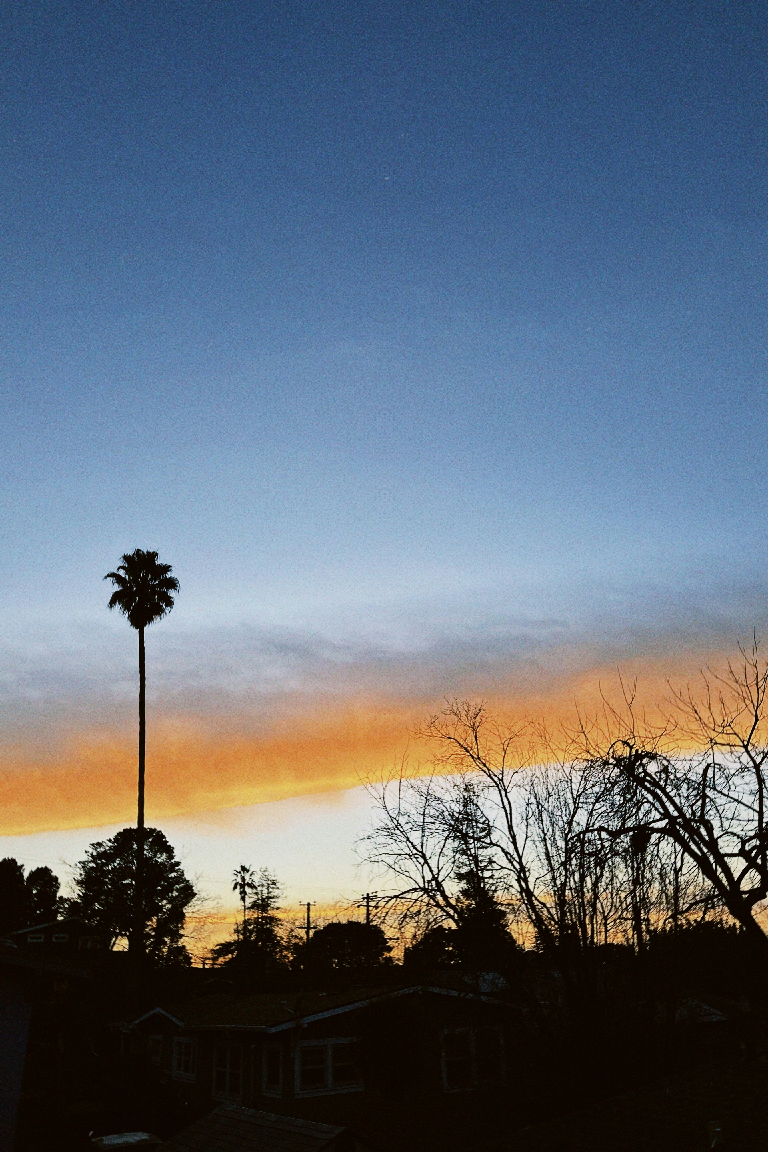 Sunset Silhouette Over Quiet Suburban Horizon